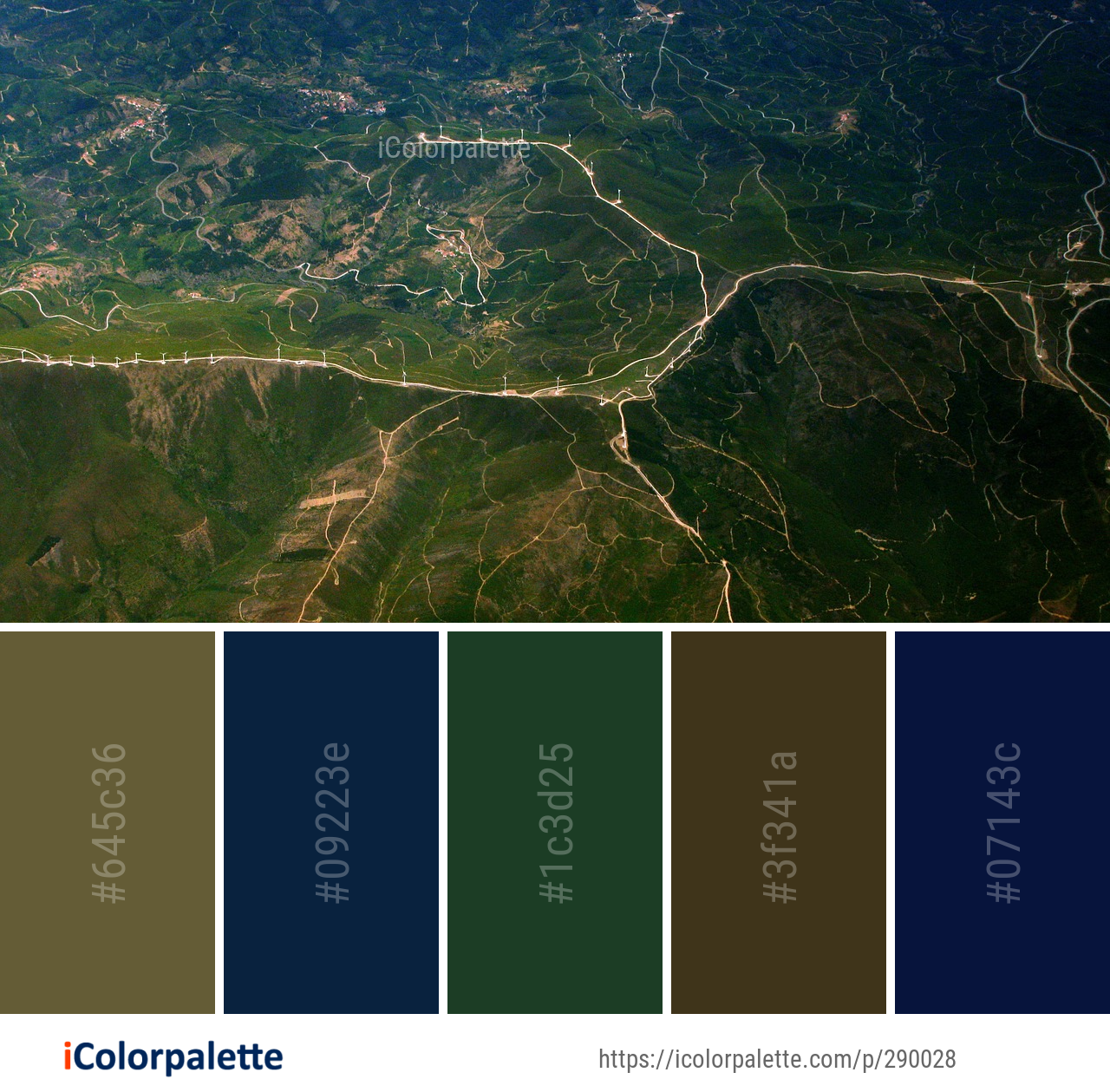 Color Palette Ideas from Aerial Photography Bird’s Eye View Vegetation ...