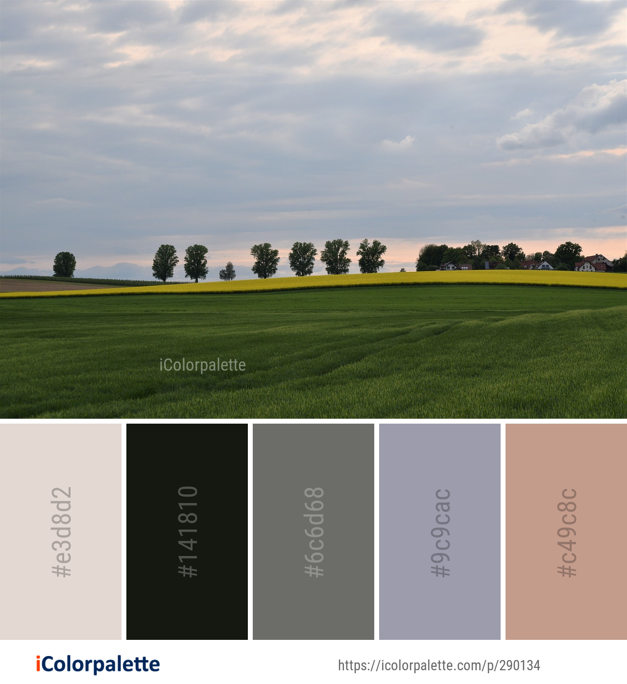 Color Palette Ideas from Sky Grassland Field Image | iColorpalette