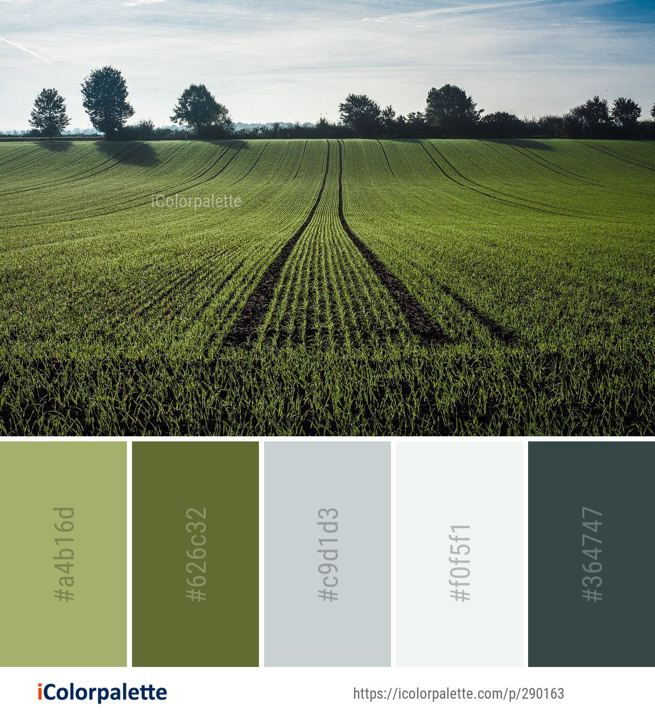 Color Palette Ideas from Field Crop Agriculture Image | iColorpalette