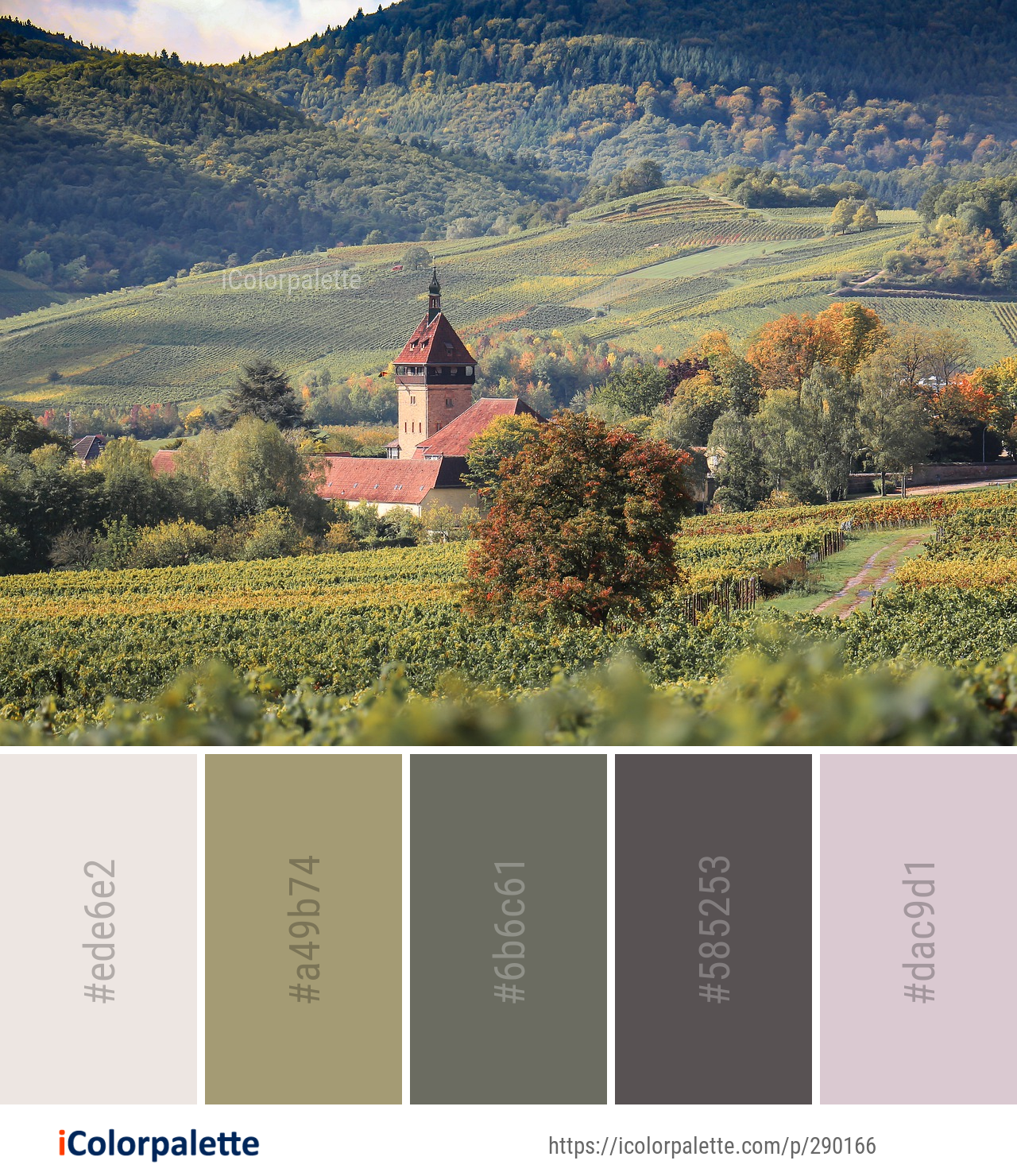 Color Palette Ideas from Nature Leaf Mountainous Landforms Image ...