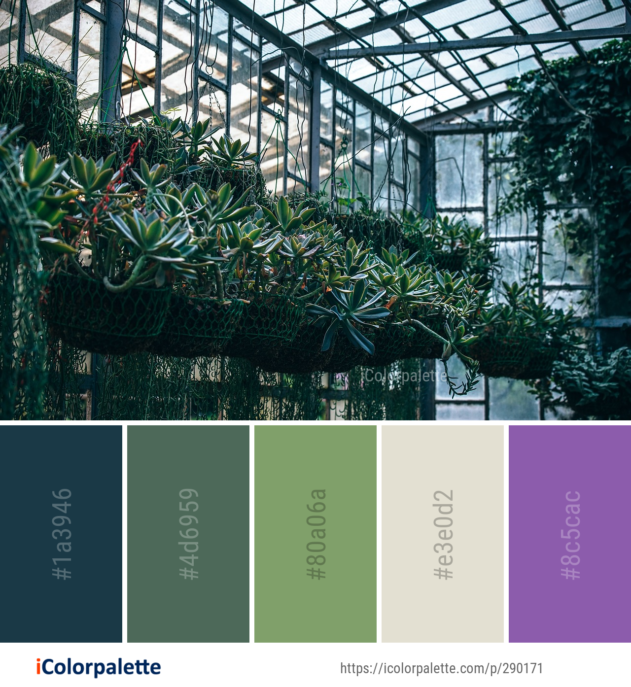 Greenhouse Color Schemes Botanical Garden Greenhouse Stock
