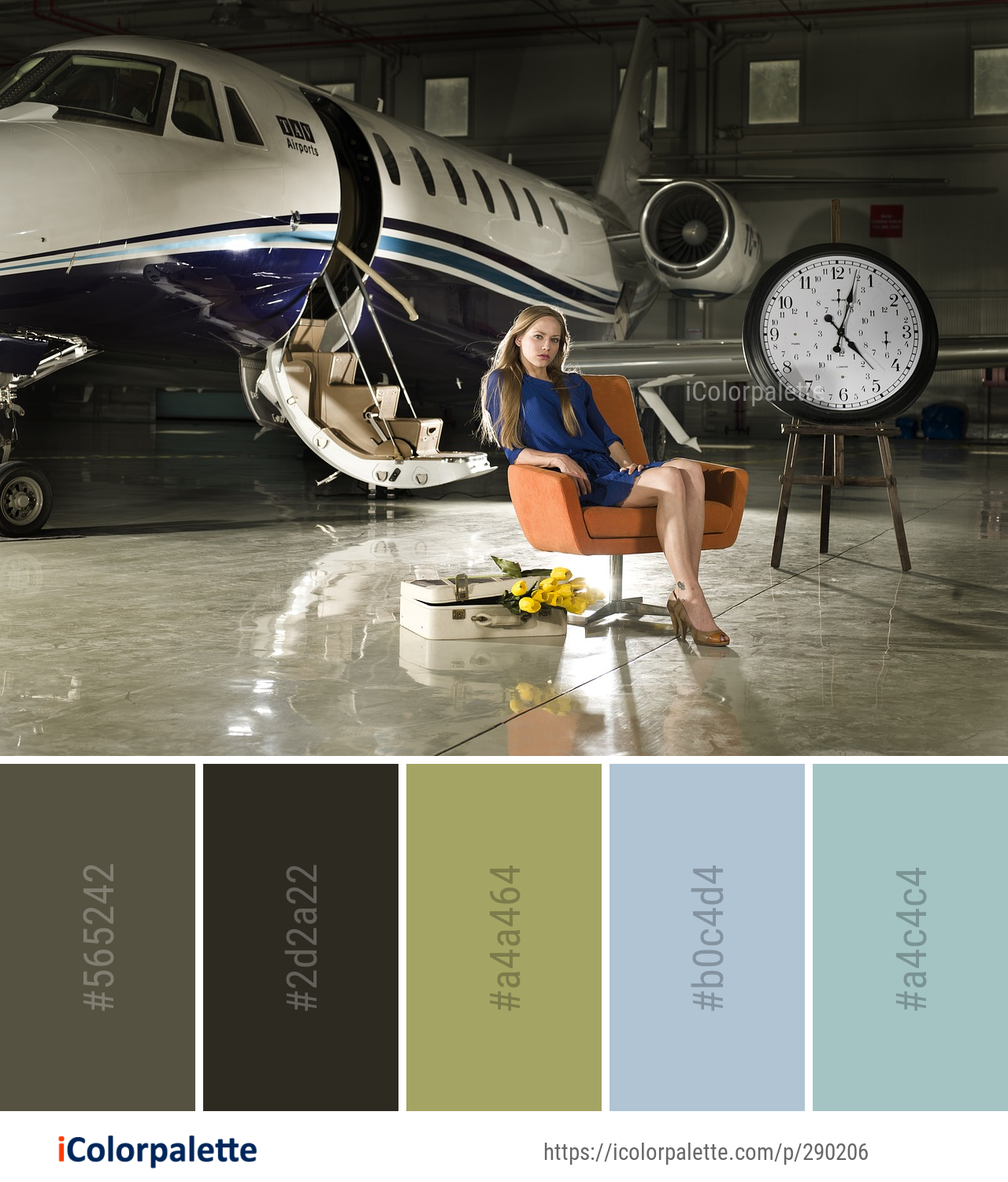 Color Palette Ideas from Aviation Aerospace Engineering Car Image ...