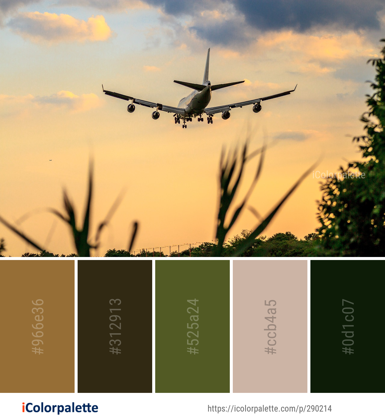 28+ Aviation Color Palette ideas in 2025 | iColorPalette