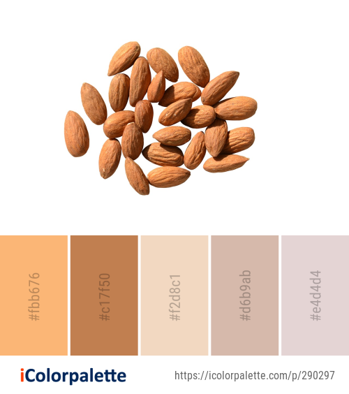 Color Palette Ideas from Nuts & Seeds Nut Food Image | iColorpalette