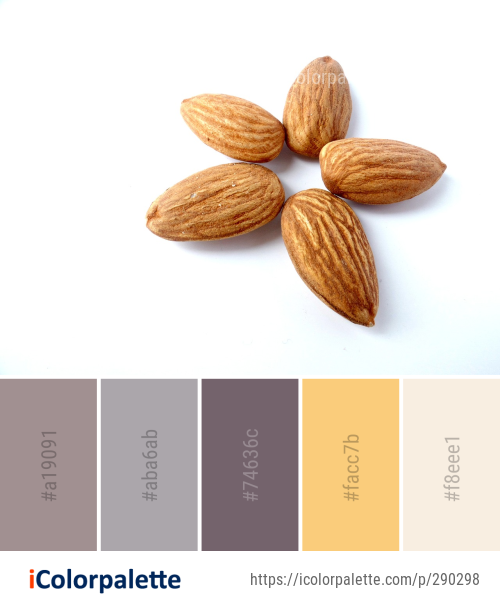Color Palette Ideas from Nuts & Seeds Nut Superfood Image | iColorpalette
