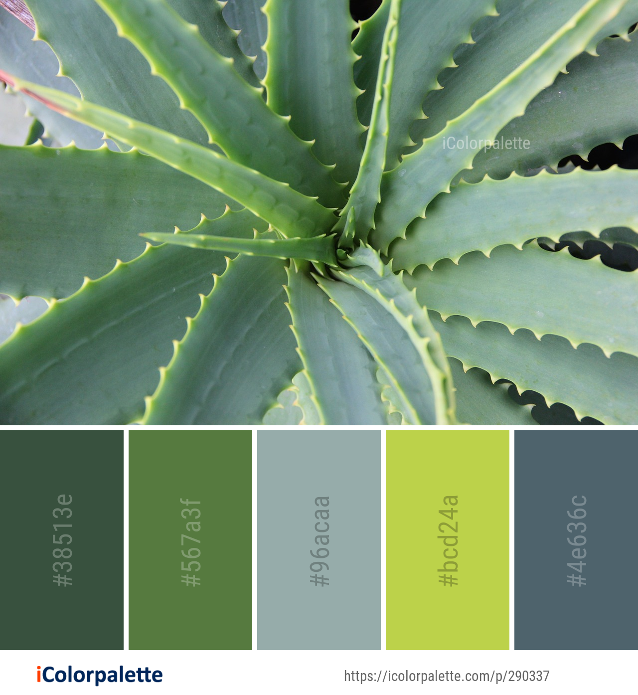 Color Palette Ideas from Plant Vegetation Leaf Image | iColorpalette