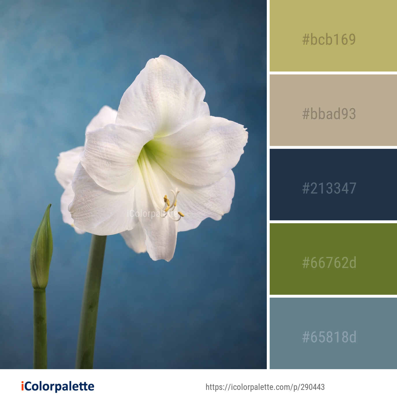 Color Palette Ideas from Flower White Plant Image | iColorpalette