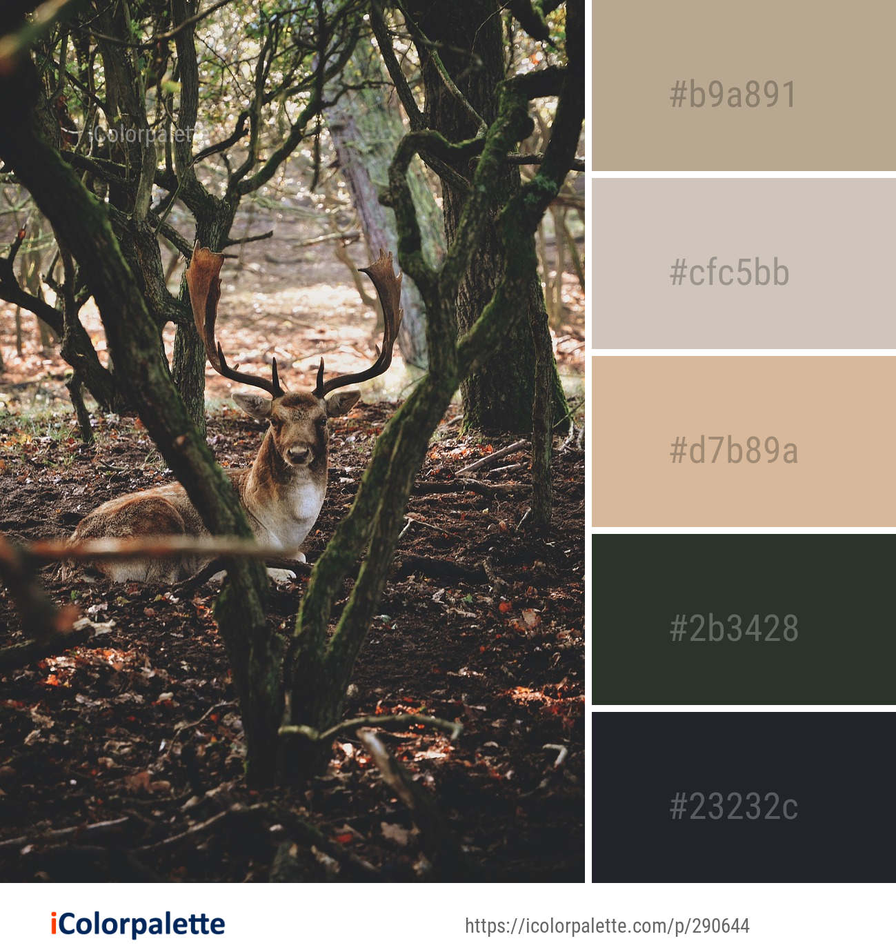 Color Palette Ideas from Wildlife Fauna Mammal Image | iColorpalette