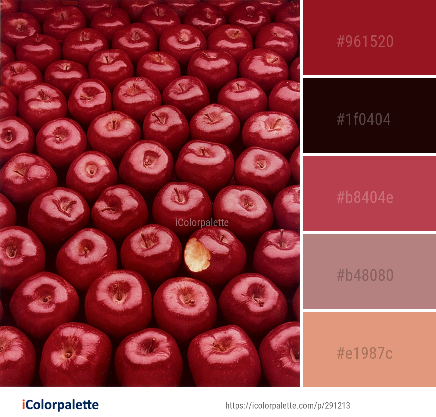 30 Cranberry Color Palette ideas in 2025 | iColorpalette