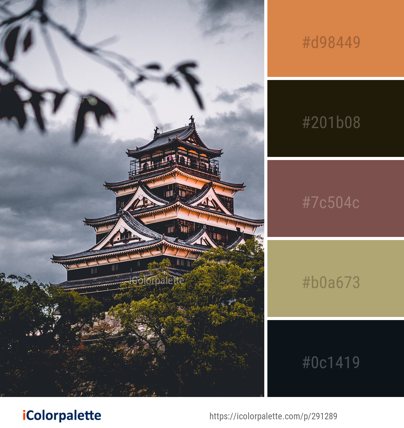 Color Palette Ideas from Sky Landmark Tree Image | iColorpalette