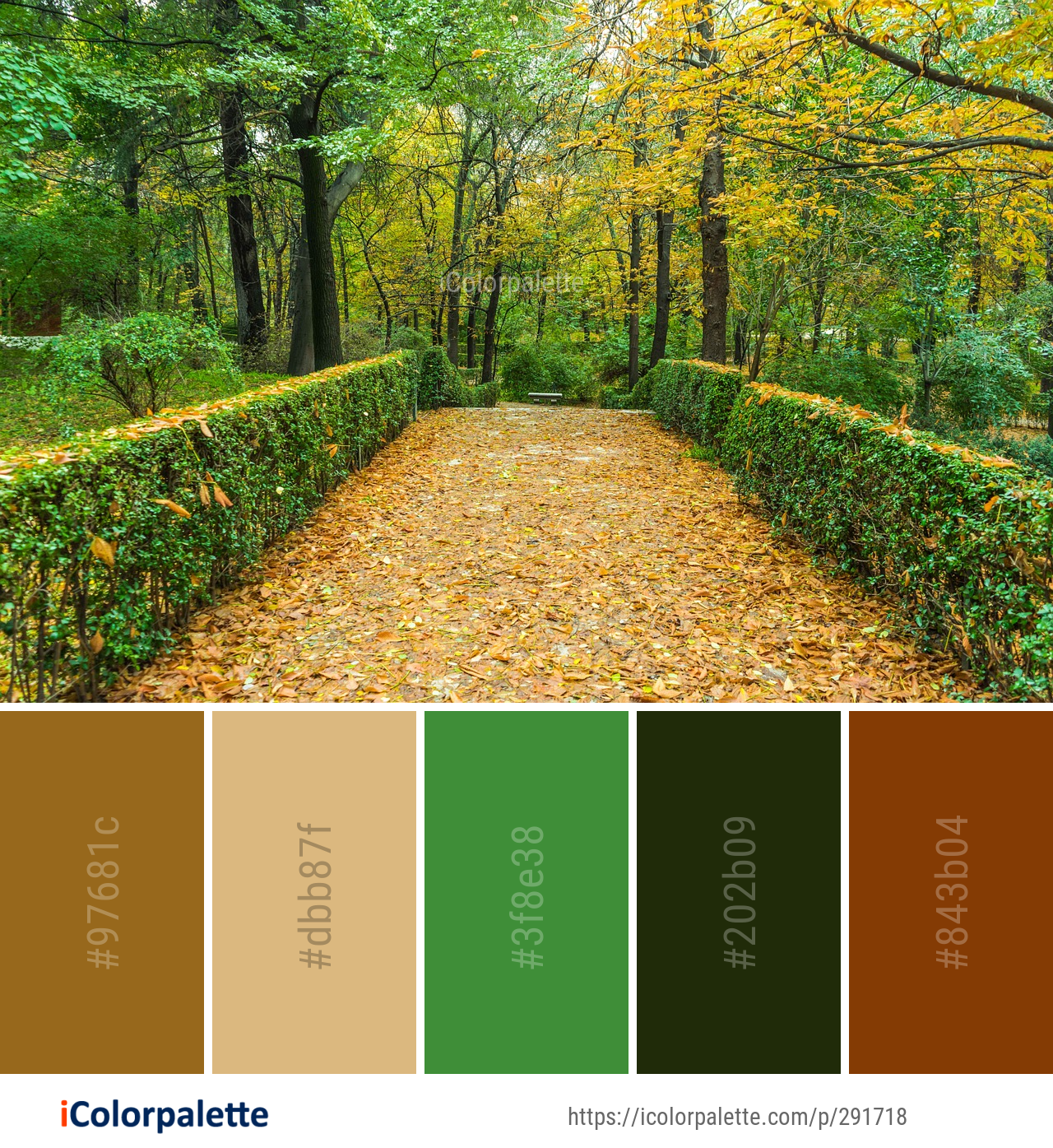 Color Palette Ideas from Nature Leaf Woodland Image | iColorpalette