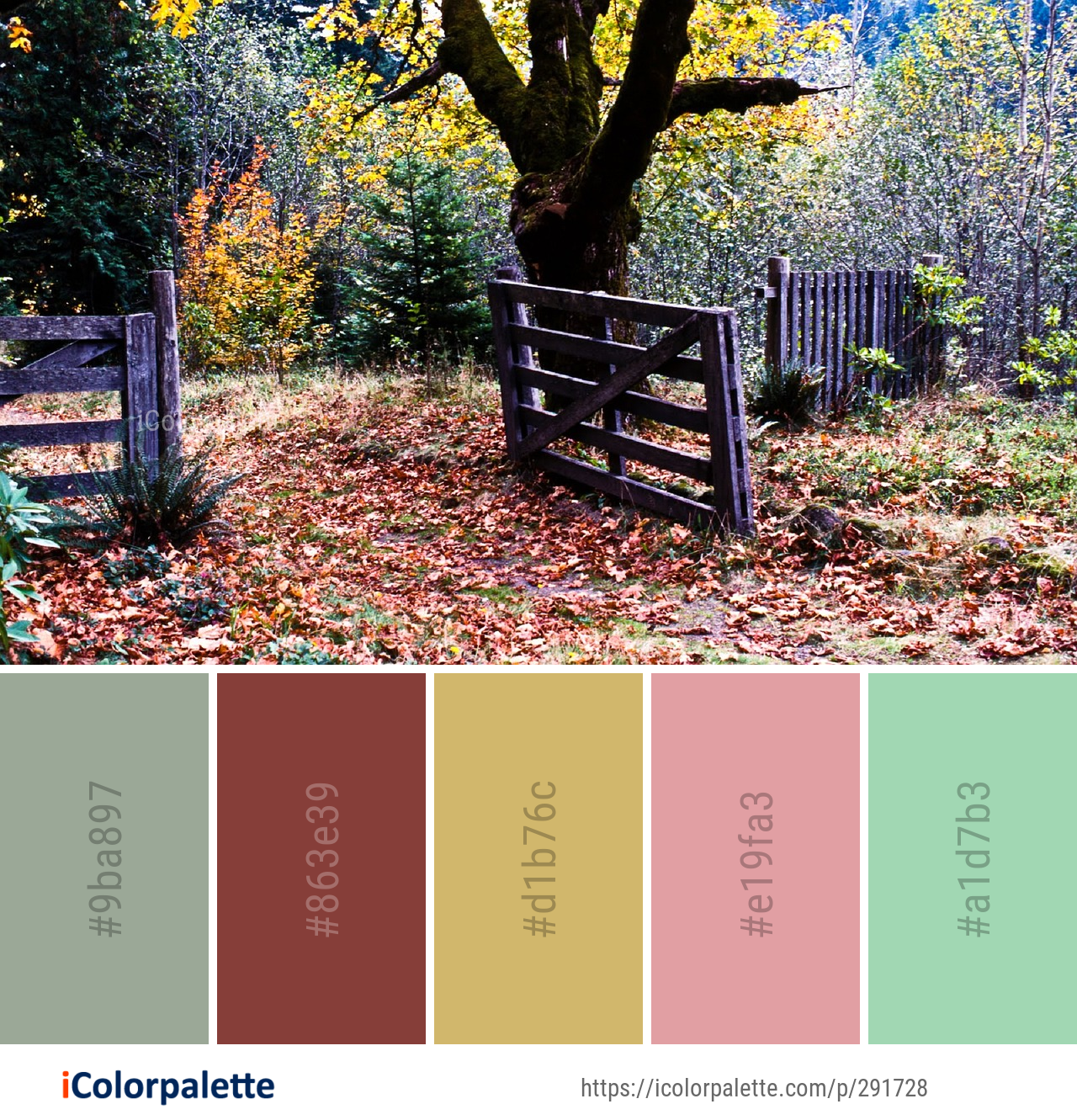 Color Palette Ideas from Nature Leaf Tree Image | iColorpalette
