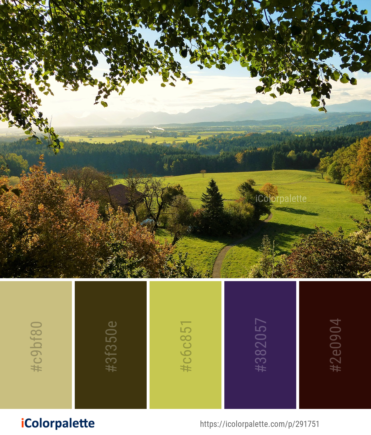 Color Palette Ideas from Nature Leaf Sky Image | iColorpalette