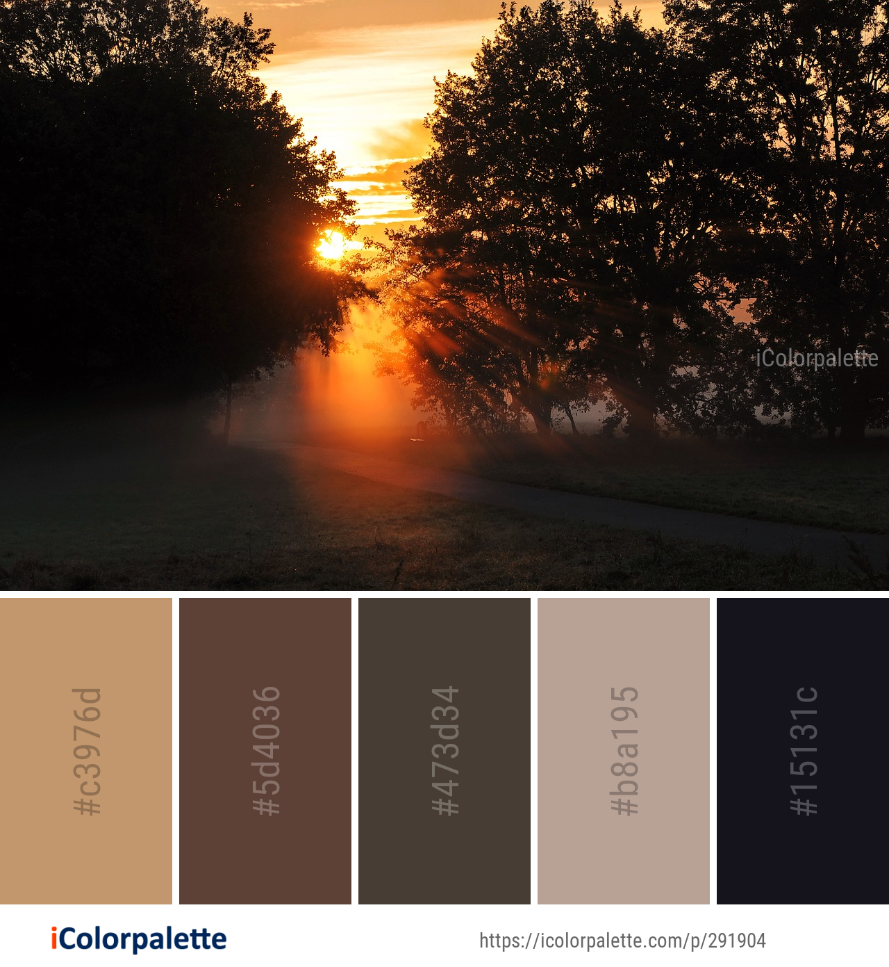 Color Palette Ideas from Sky Sunrise Sun Image | iColorpalette