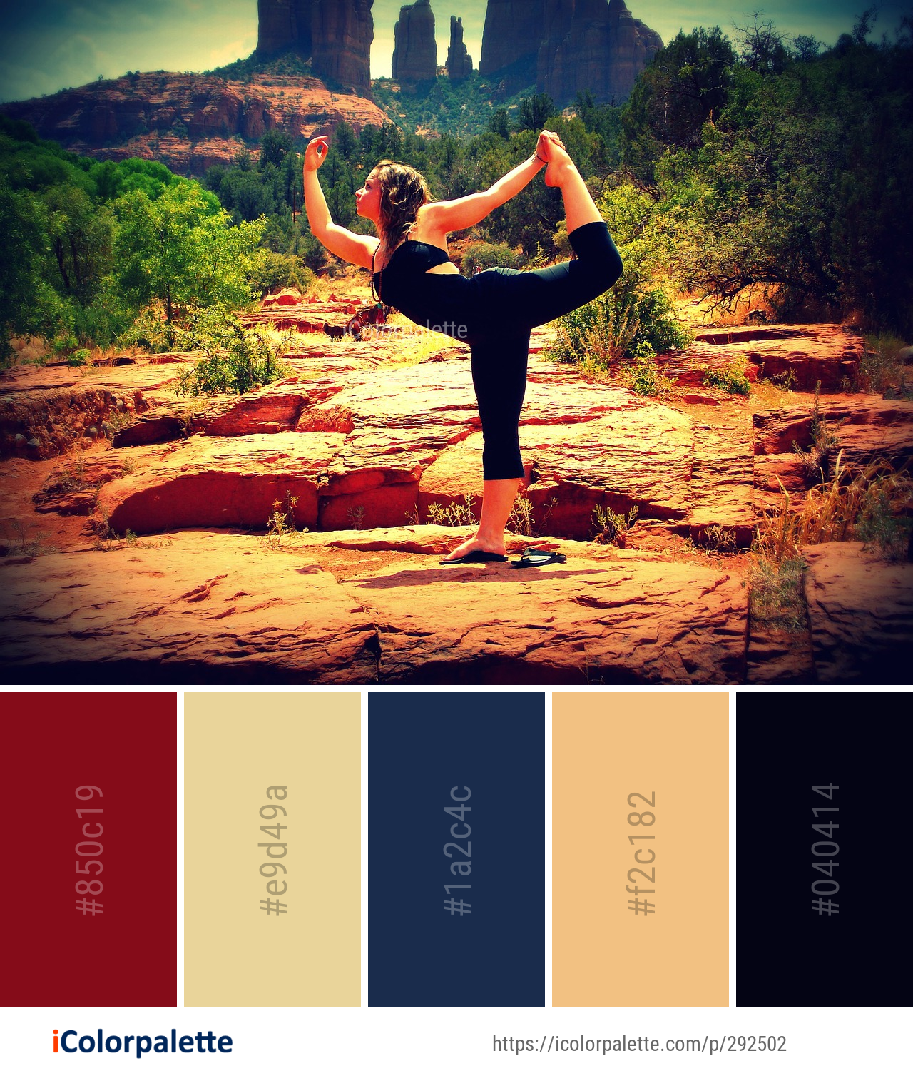 12+ Physical Fitness Color Palette ideas in 2025 | iColorPalette