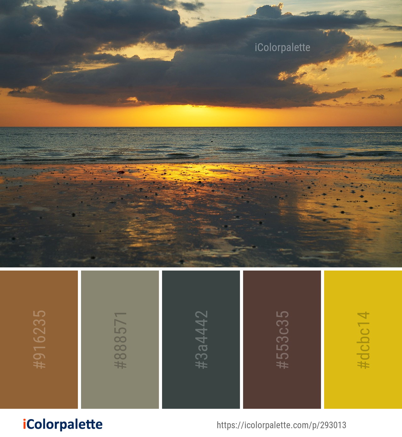 Color Palette Ideas from Sky Horizon Sea Image | iColorpalette