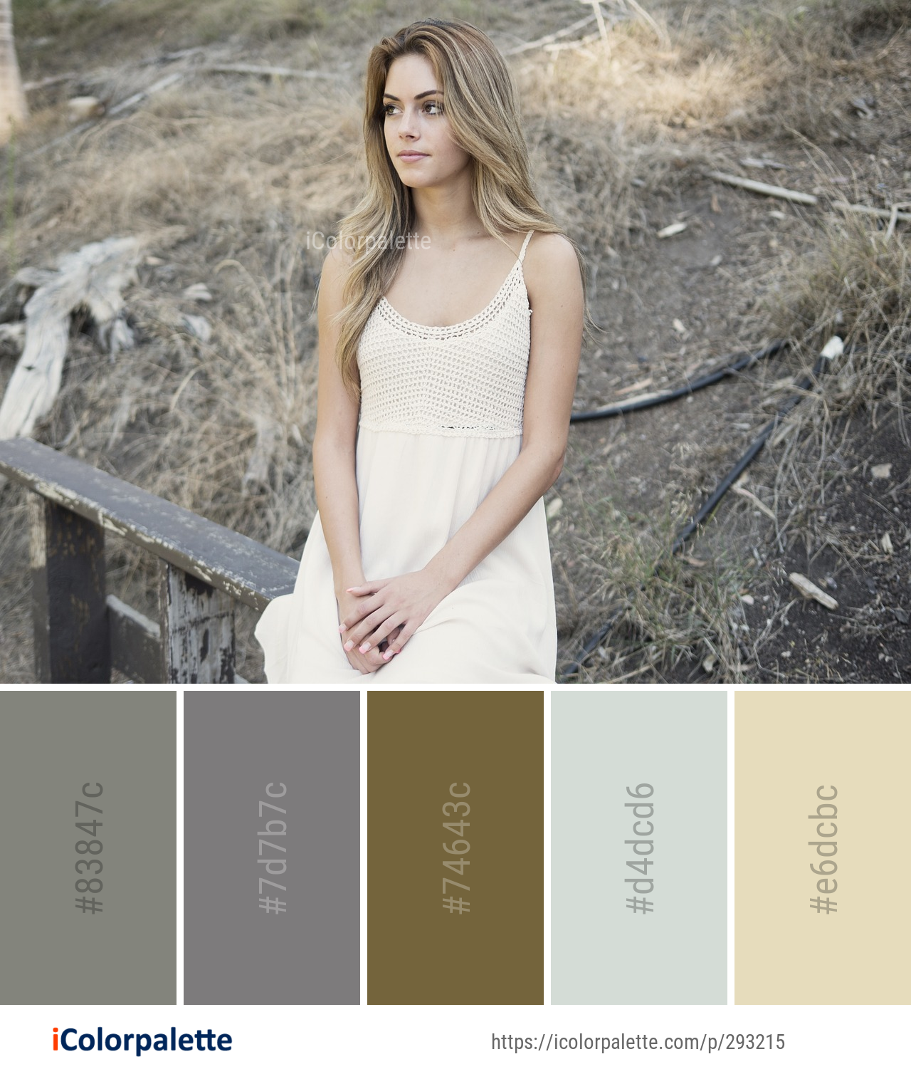 30+ Portrait Photography Color Palette ideas in 2025 | iColorPalette
