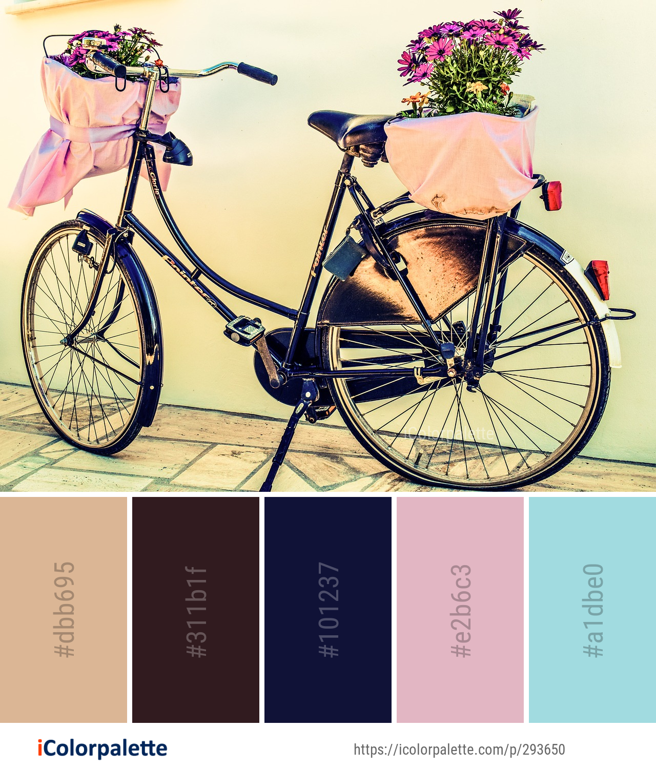 7+ Bicycle Frame Color Palette ideas in 2025 | iColorPalette
