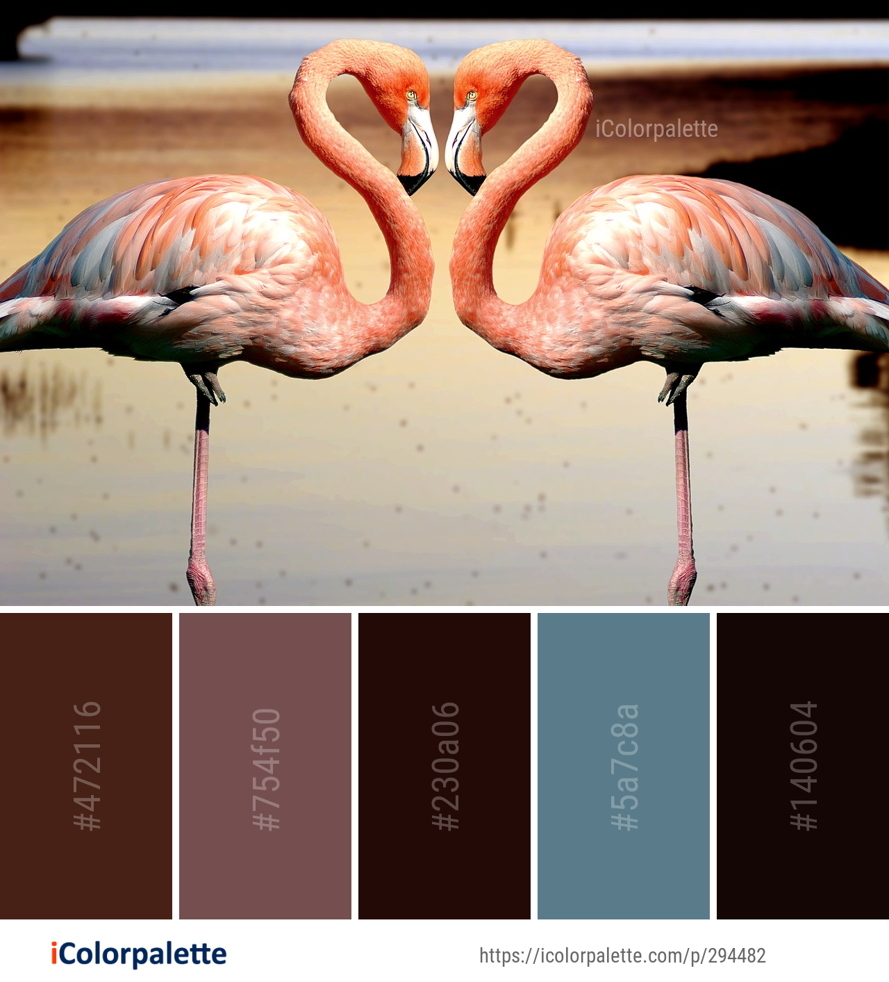 55+ Flamingo Color Palette ideas in 2025 | iColorPalette