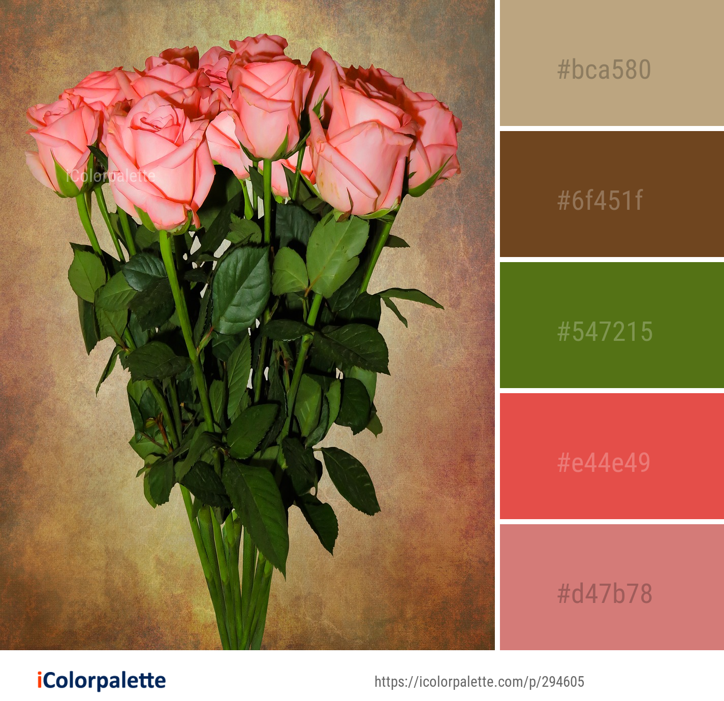 Color Palette Ideas from Flower Rose Garden Roses Image | iColorpalette