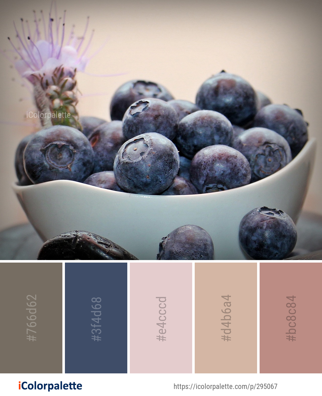 32+ Blueberry Color Palette ideas in 2025 | iColorPalette