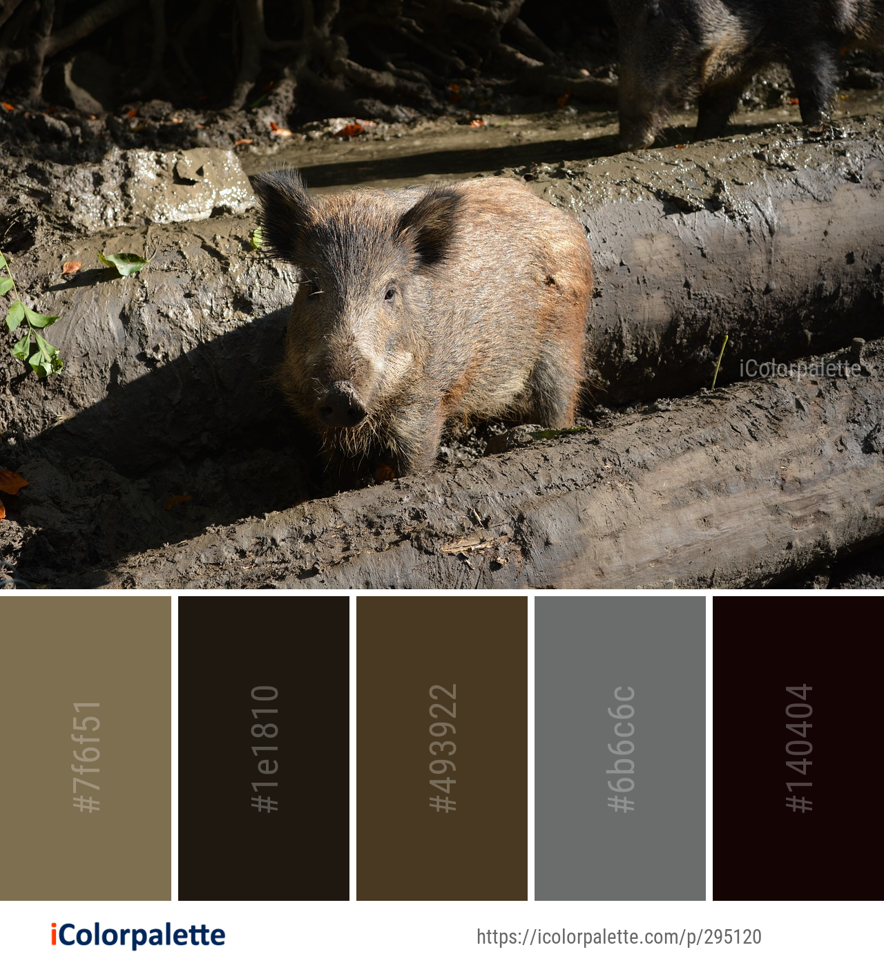 Color Palette Ideas from Pig Like Mammal Fauna Image | iColorpalette