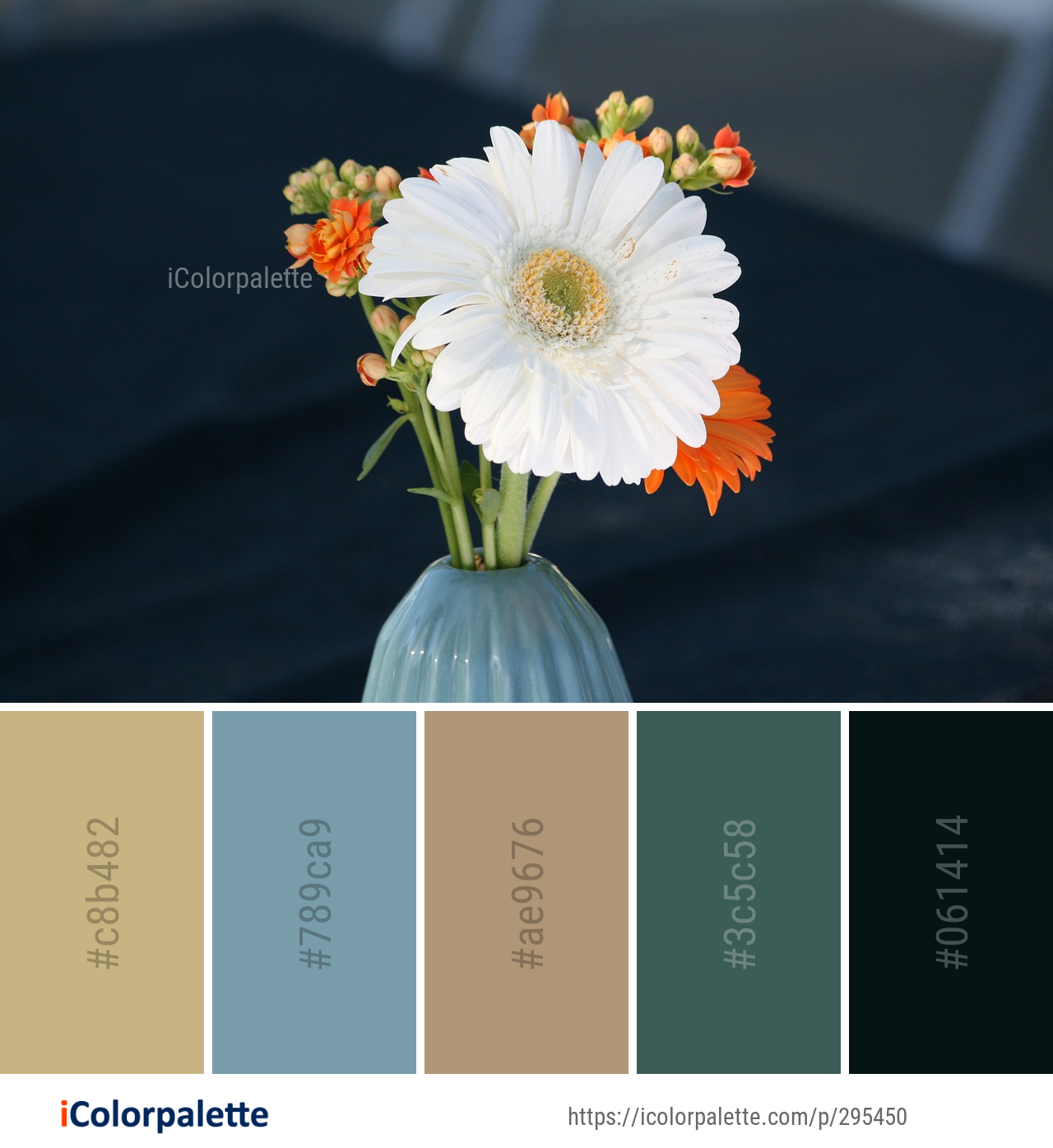 Color Palette Ideas from Flower Flowering Plant Floristry Image ...