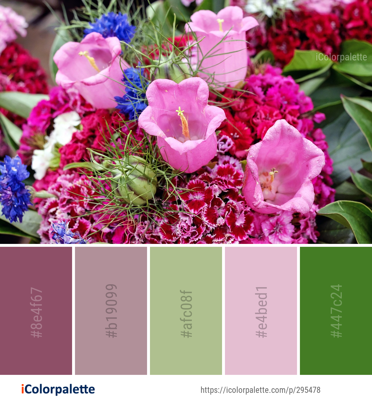 Color Palette Ideas from Flower Pink Plant Image | iColorpalette