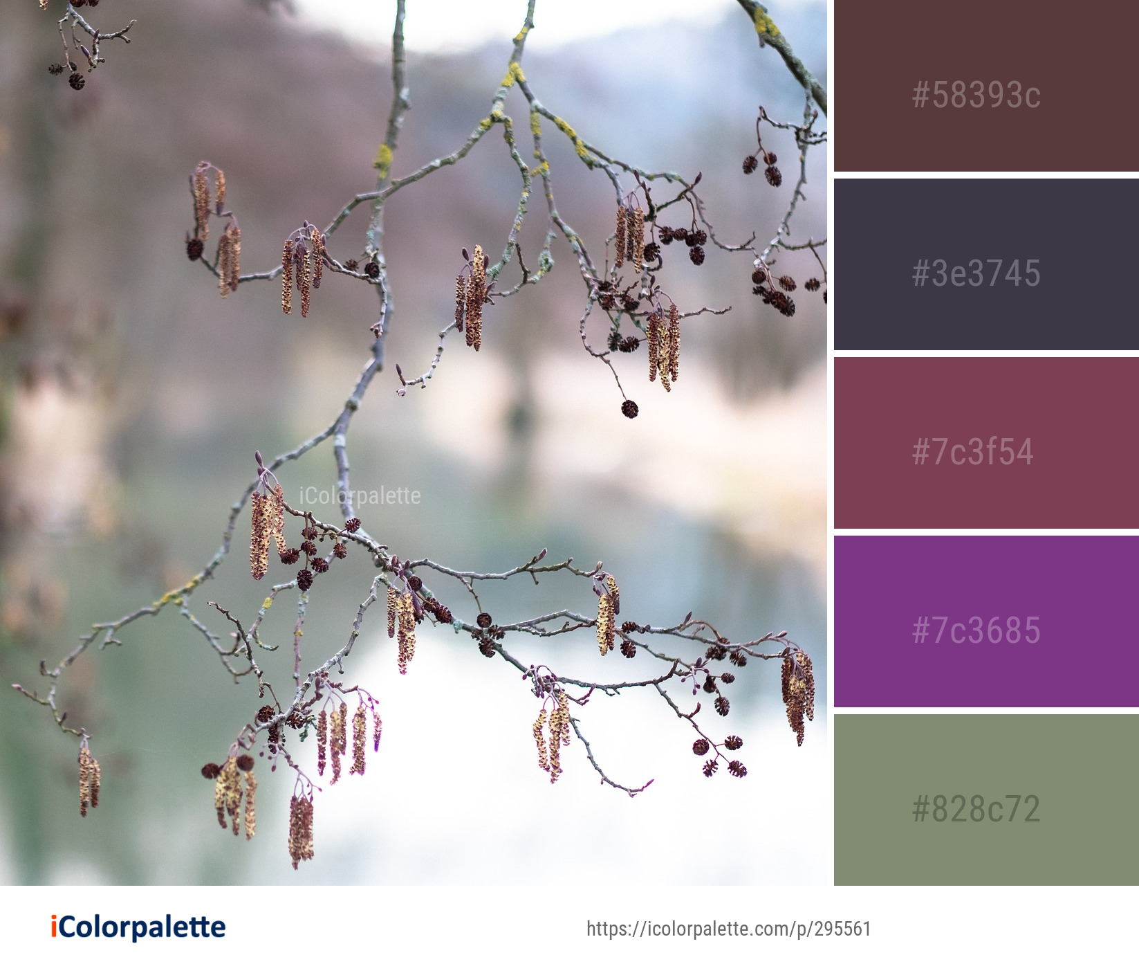 Color Palette Ideas from Branch Twig Flora Image | iColorpalette