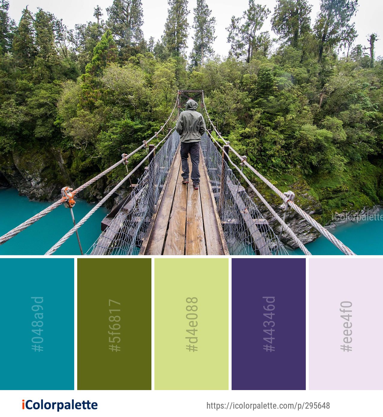 Color Palette Ideas from Bridge Water Tree Image | iColorpalette