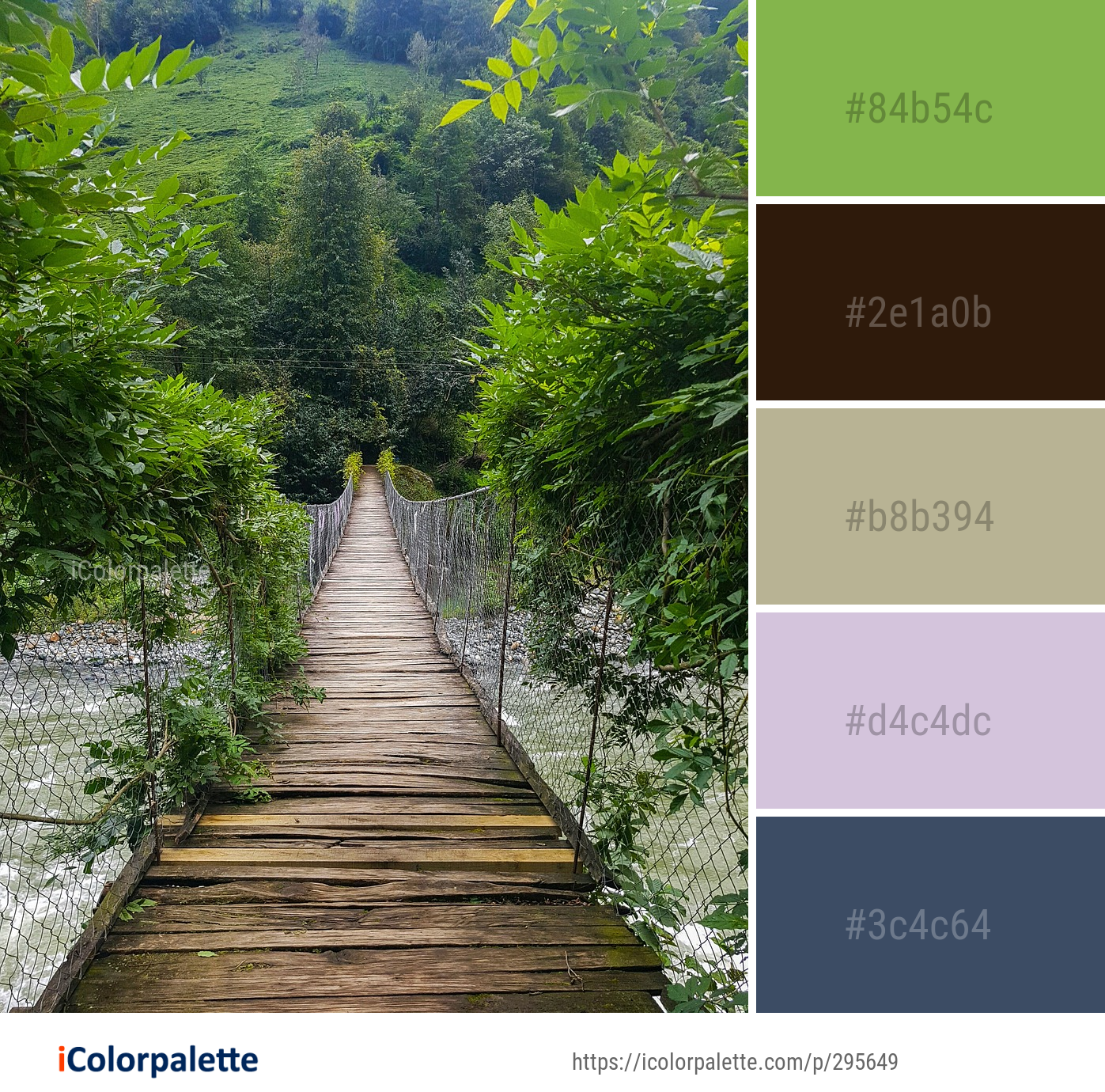 Color Palette Ideas from Nature Vegetation Path Image | iColorpalette