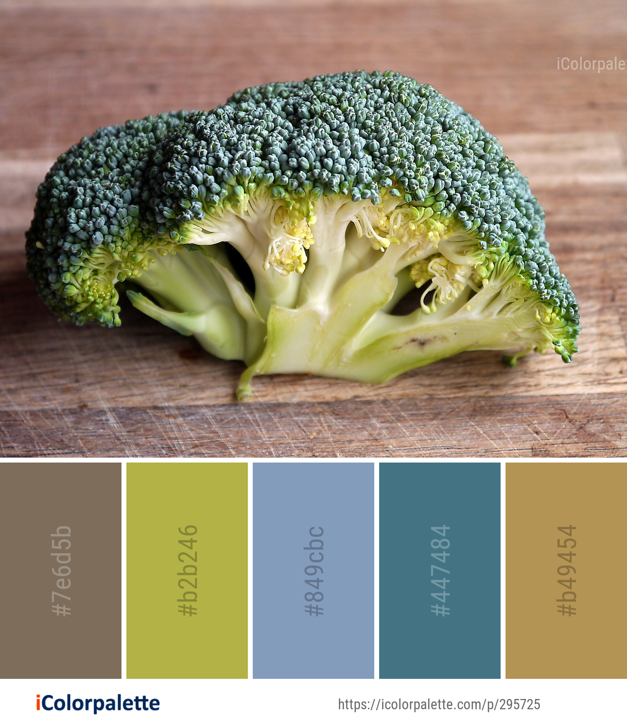 Color Palette Ideas from Vegetable Broccoli Produce Image | iColorpalette
