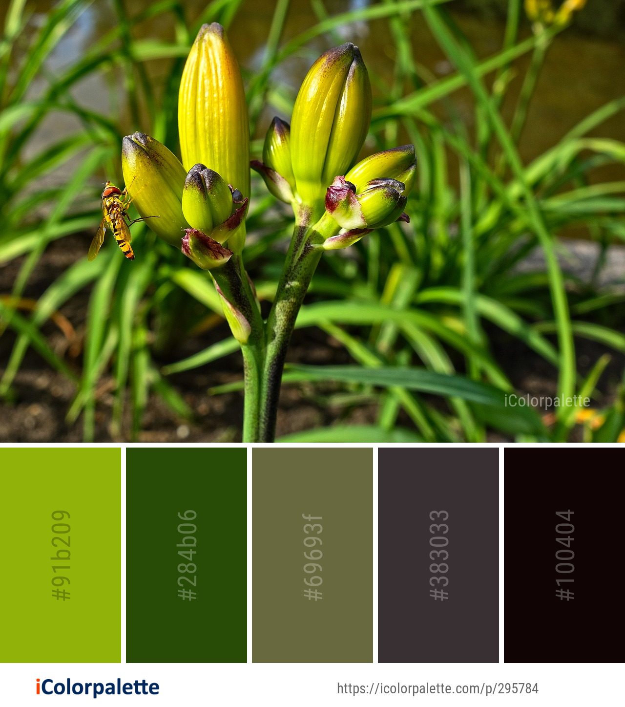 Color Palette Ideas from Flora Plant Flower Image | iColorpalette