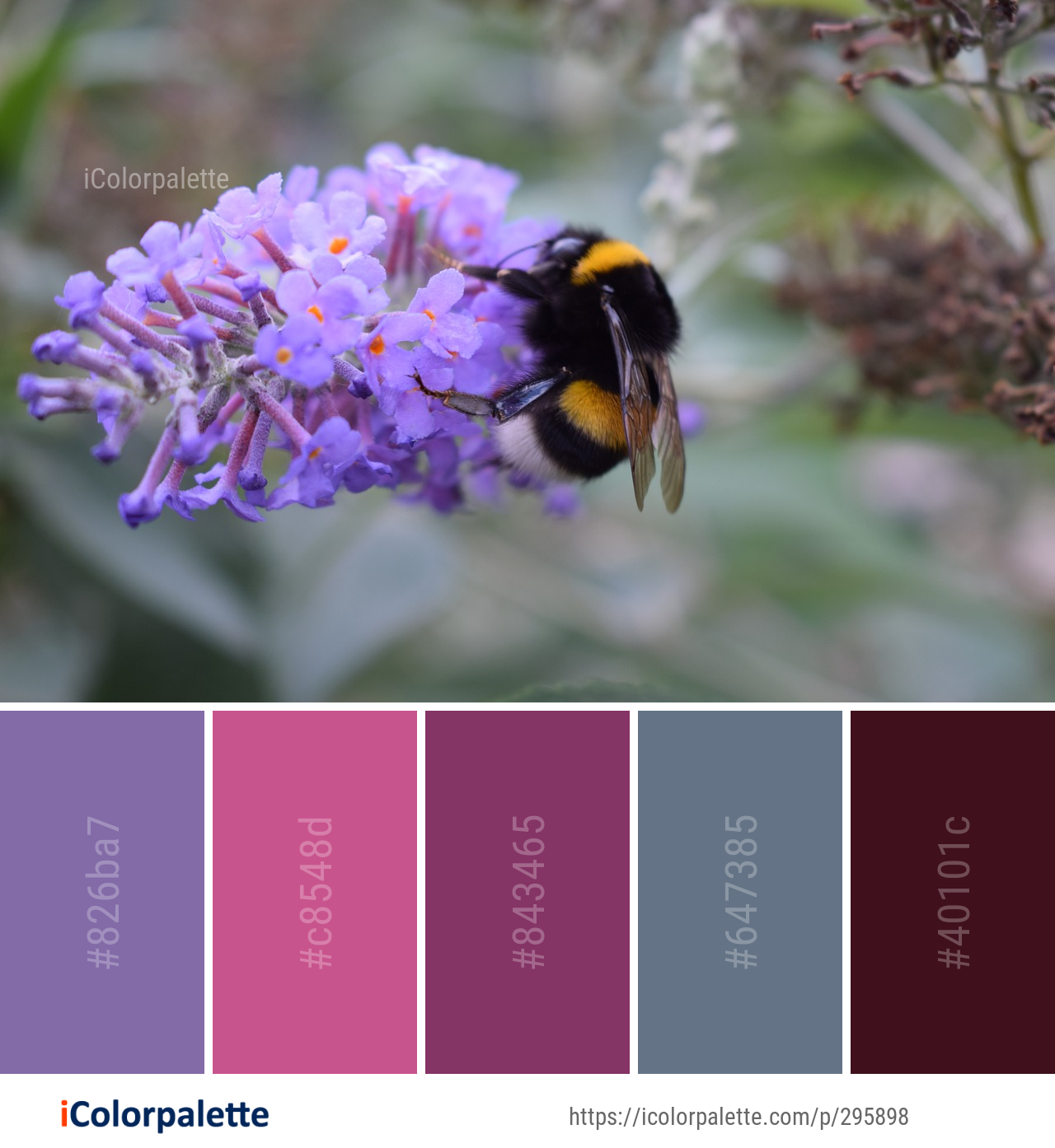 Color Palette Ideas from Bee Bumblebee Flower Image | iColorpalette