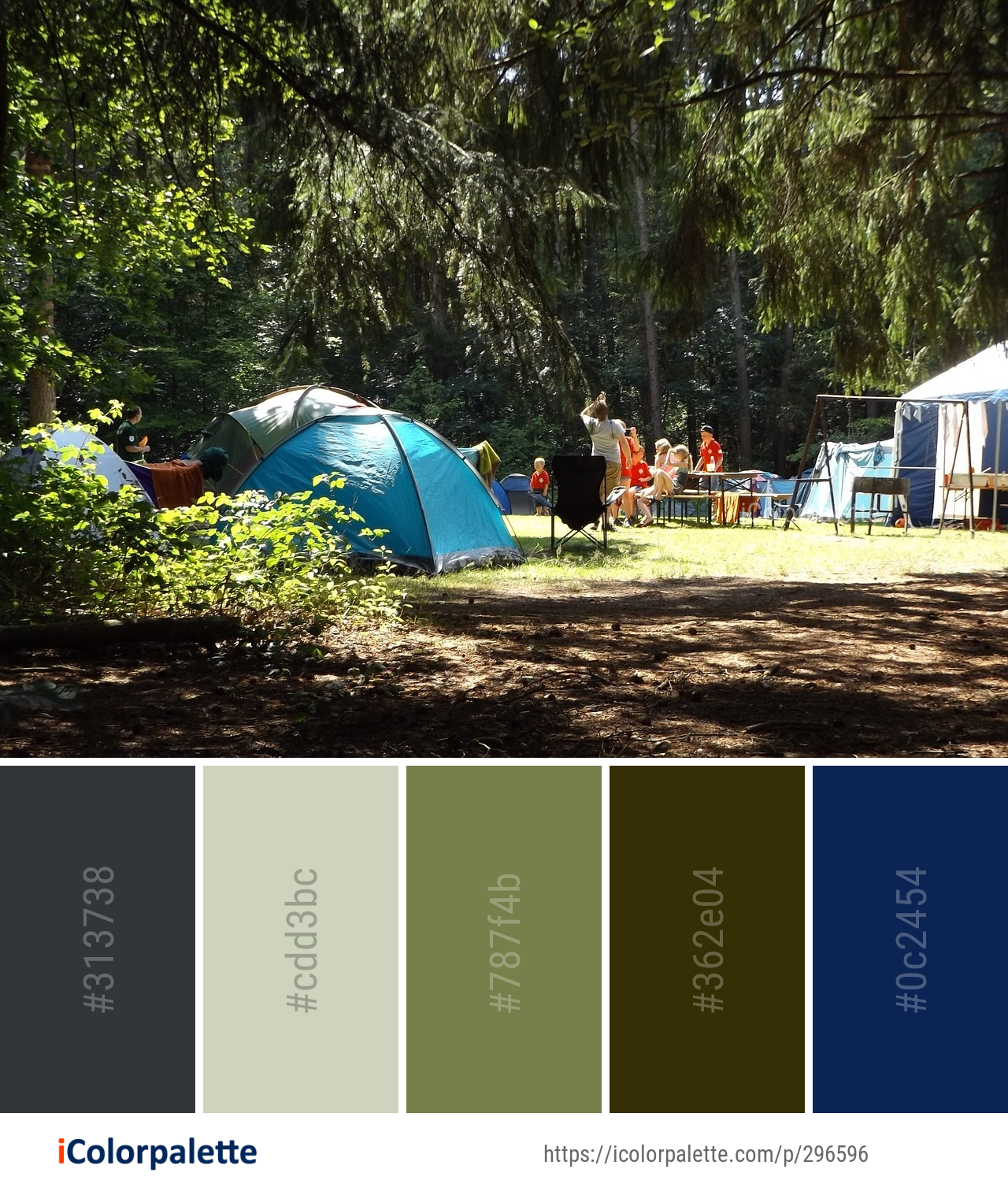 Color Palette Ideas from Camping Nature Green Image | iColorpalette