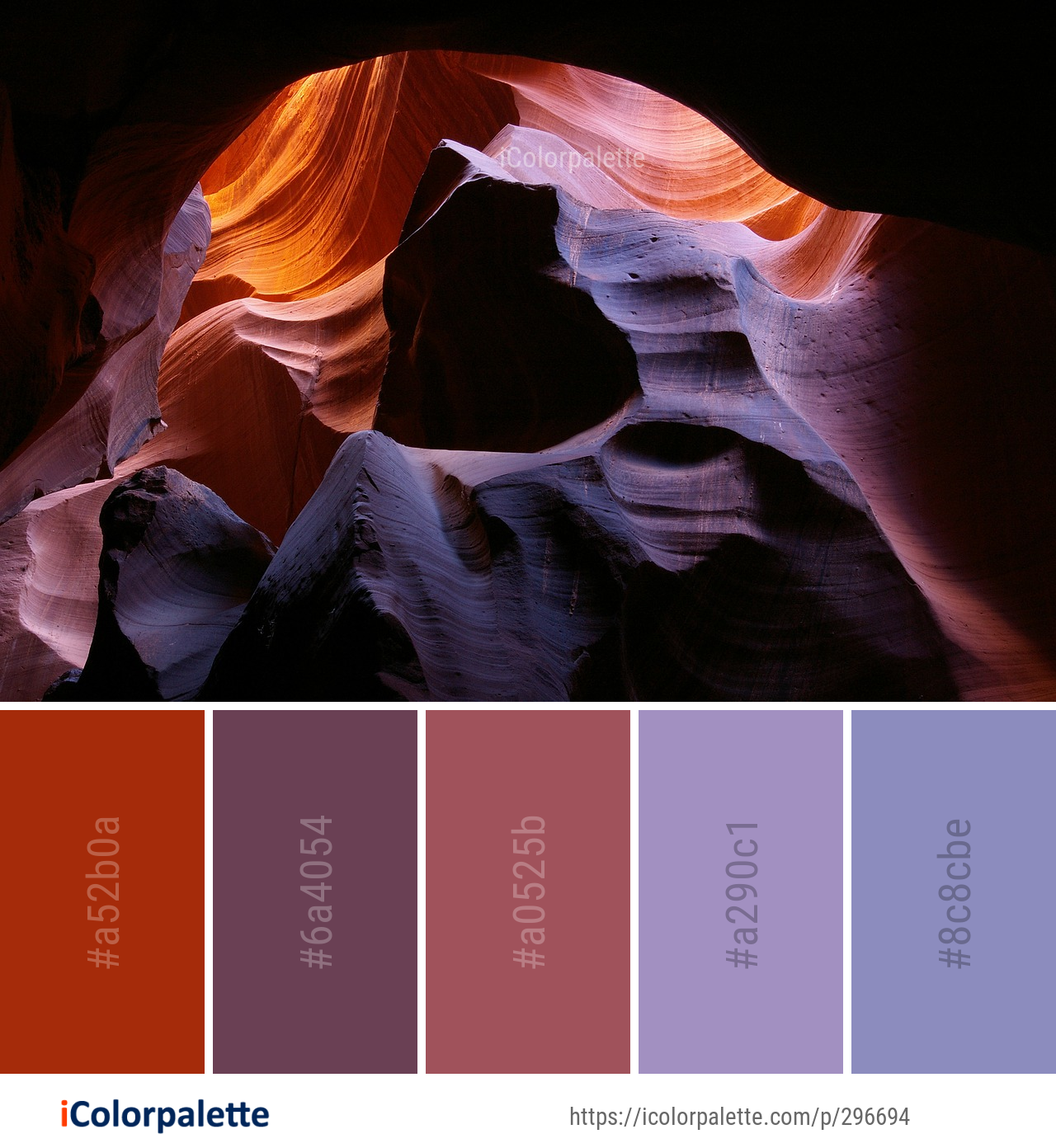 Color Palette Ideas from Light Darkness Flower Image | iColorPalette