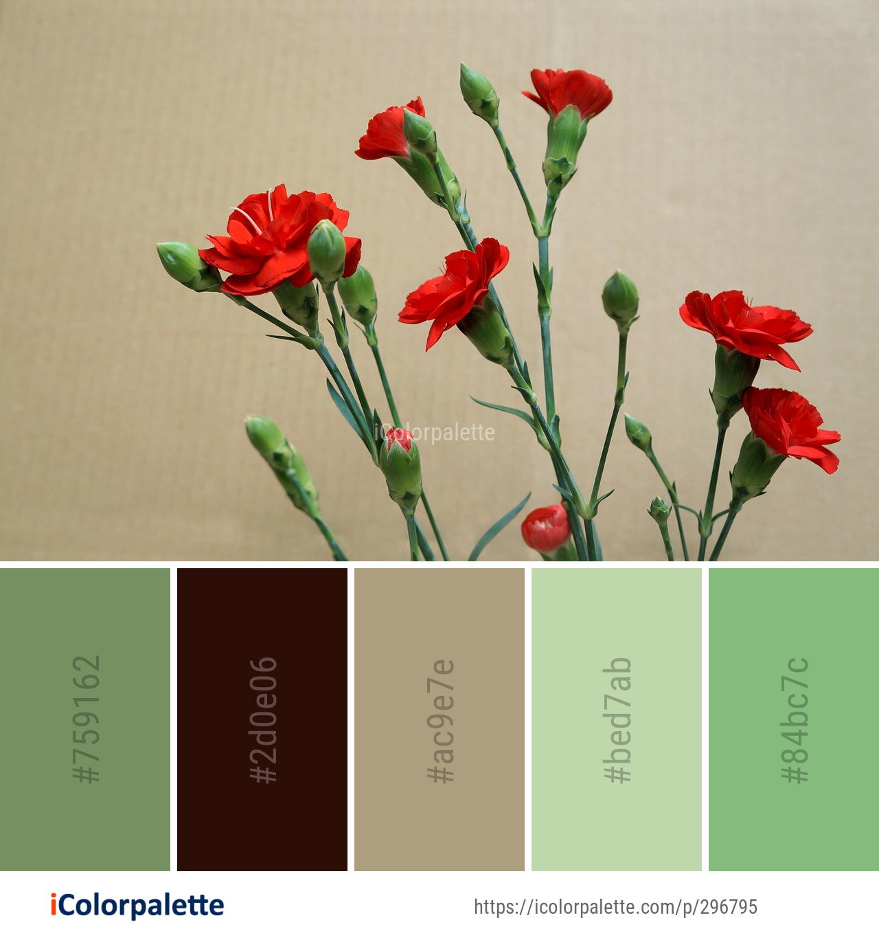 Color Palette Ideas from Flower Red Flowering Plant Image | iColorpalette