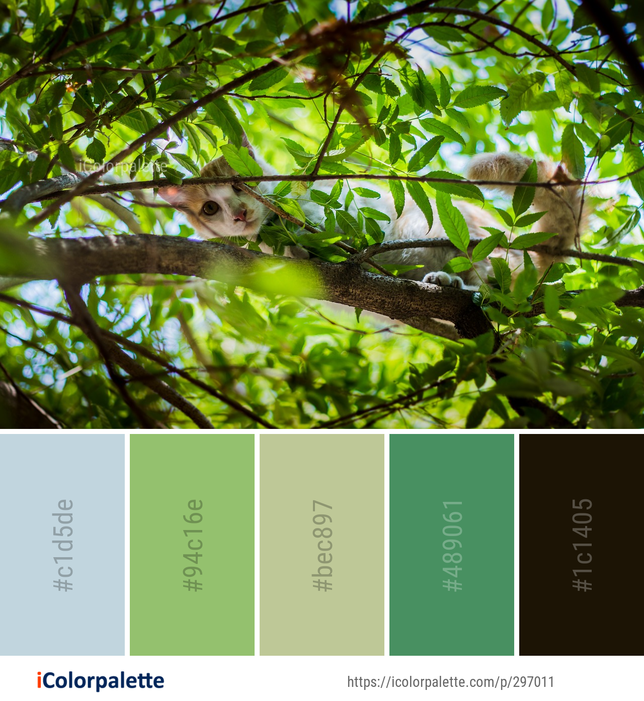 Color Palette Ideas from Ecosystem Green Fauna Image | iColorpalette