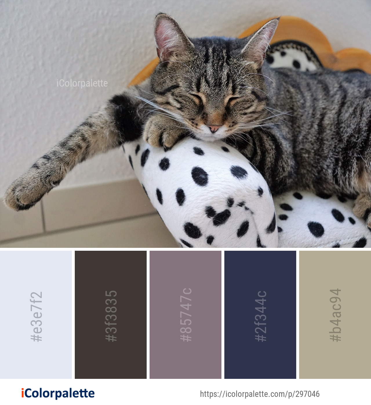 Color Palette Ideas from Cat Dragon Li Small To Medium Sized Cats Image ...