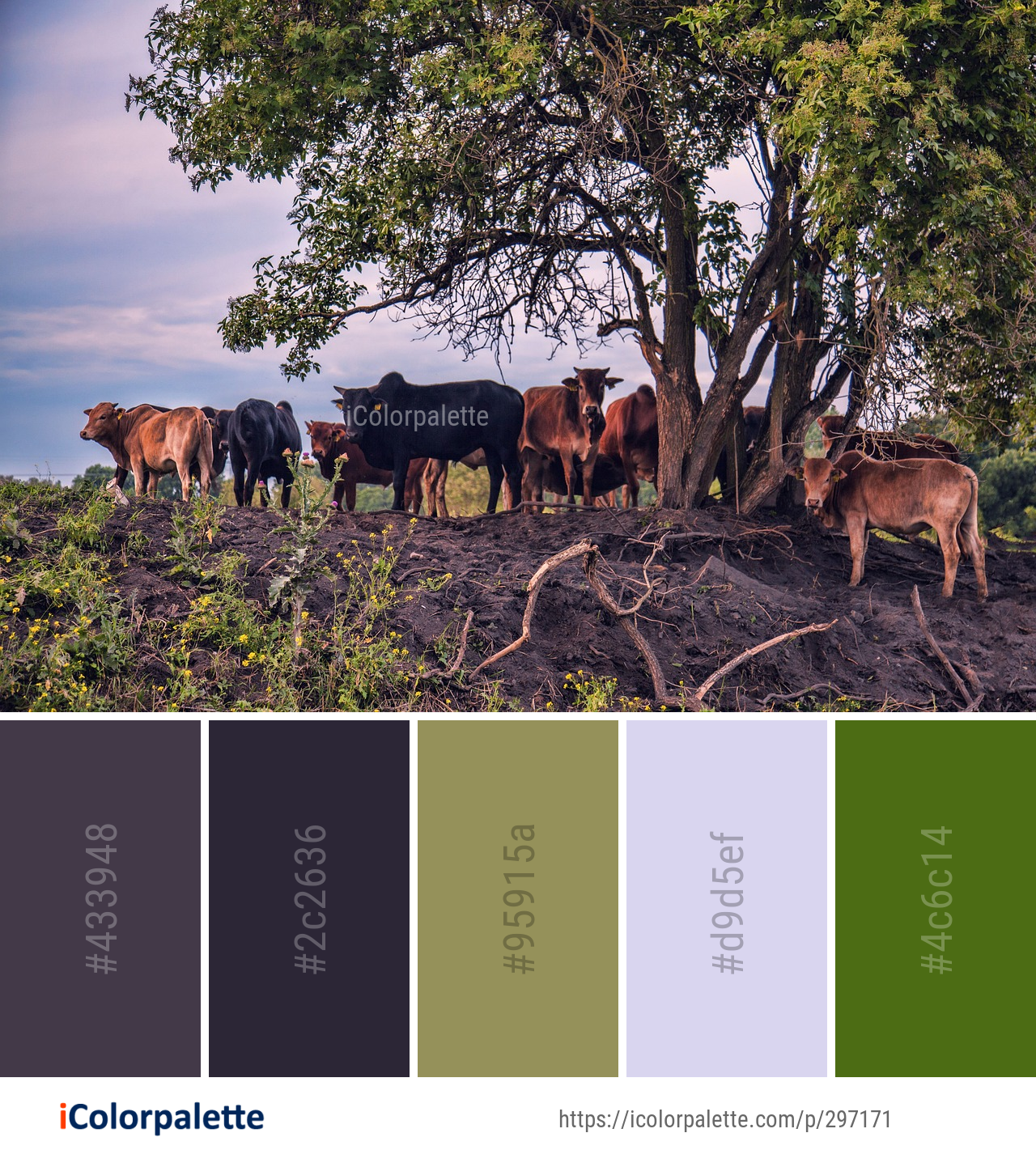 Color Palette Ideas from Tree Cattle Like Mammal Woody Plant Image ...