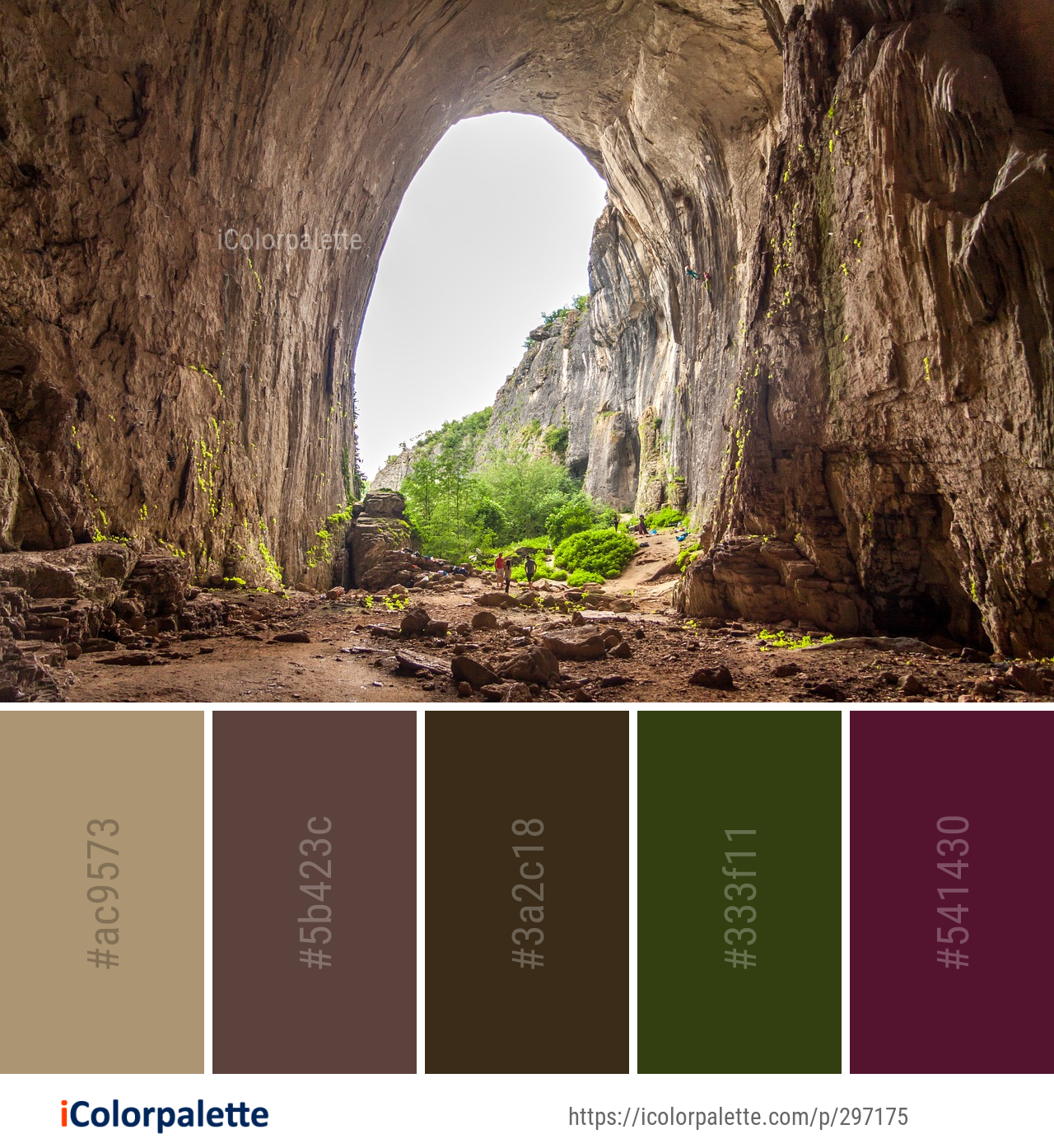20 Cave Color Palette ideas in 2025 | iColorpalette