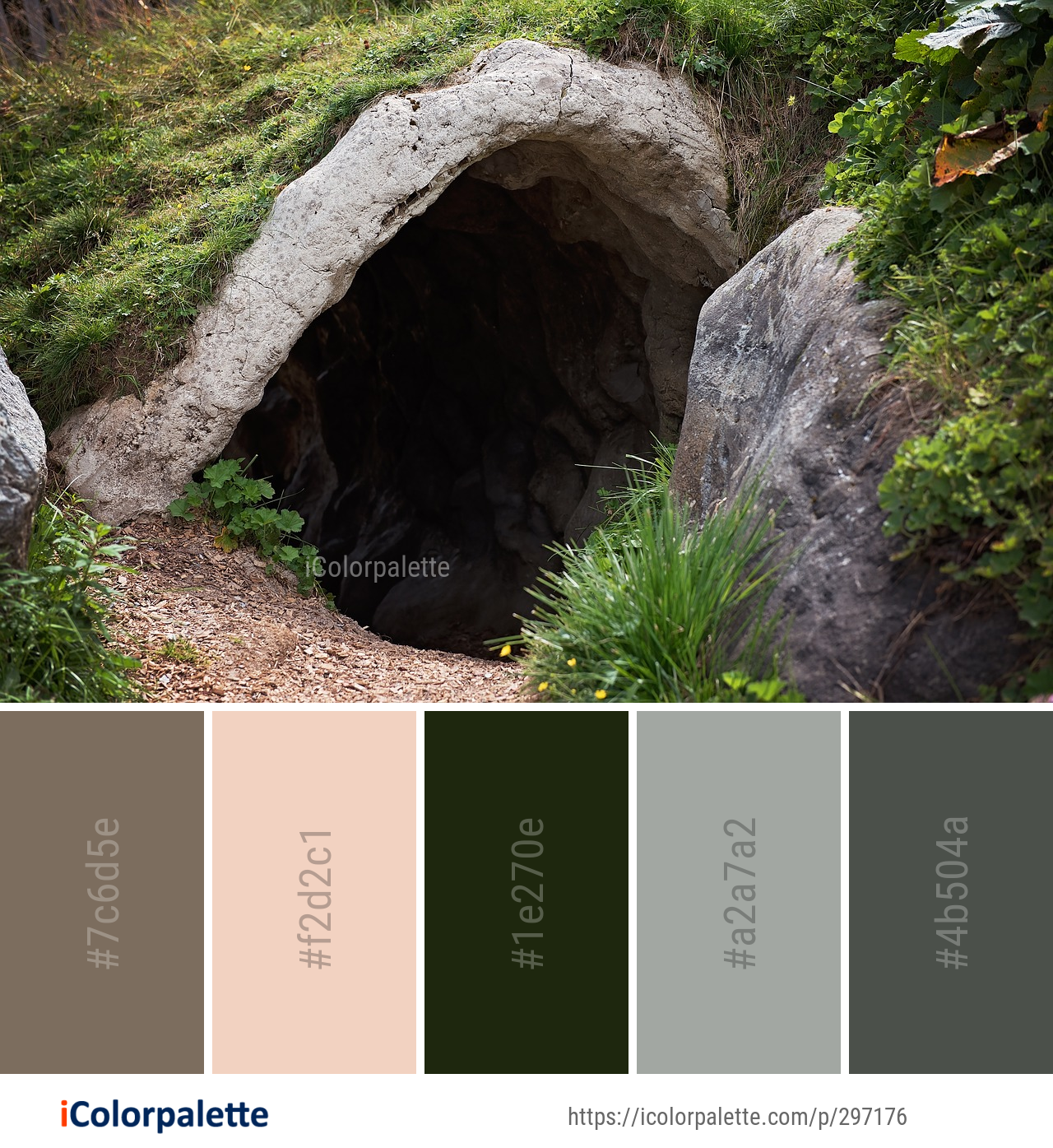 Color Palette Ideas from Rock Cave Formation Image | iColorpalette