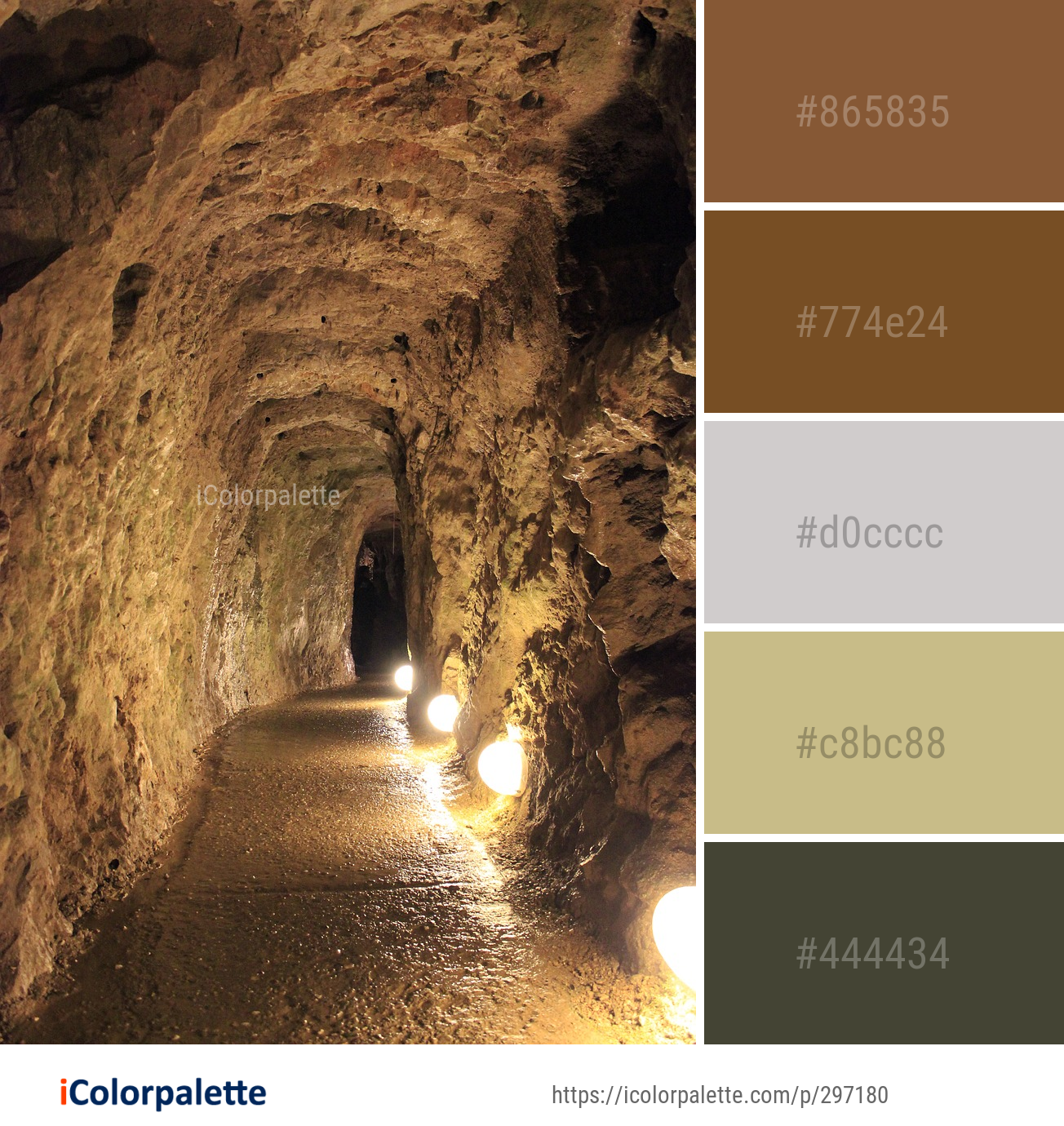 20 Cave Color Palette ideas in 2025 | iColorpalette