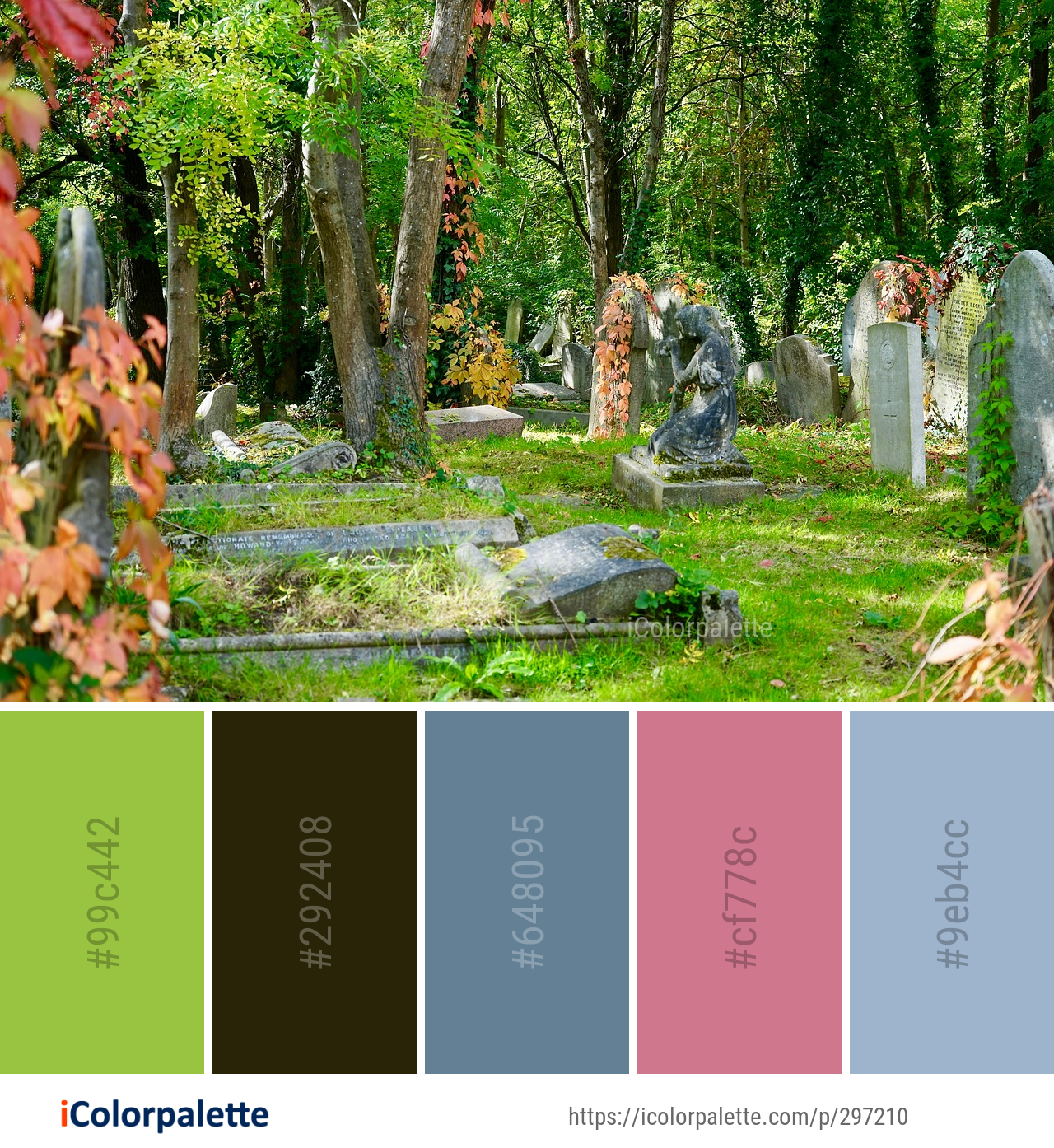 7+ Cemetery Color Palette ideas in 2025 | iColorPalette