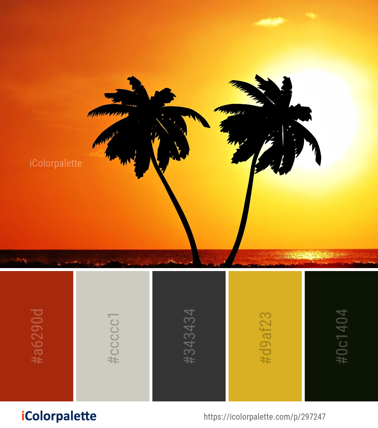 Color Palette Ideas from Sky Palm Tree Sunset Image | iColorpalette