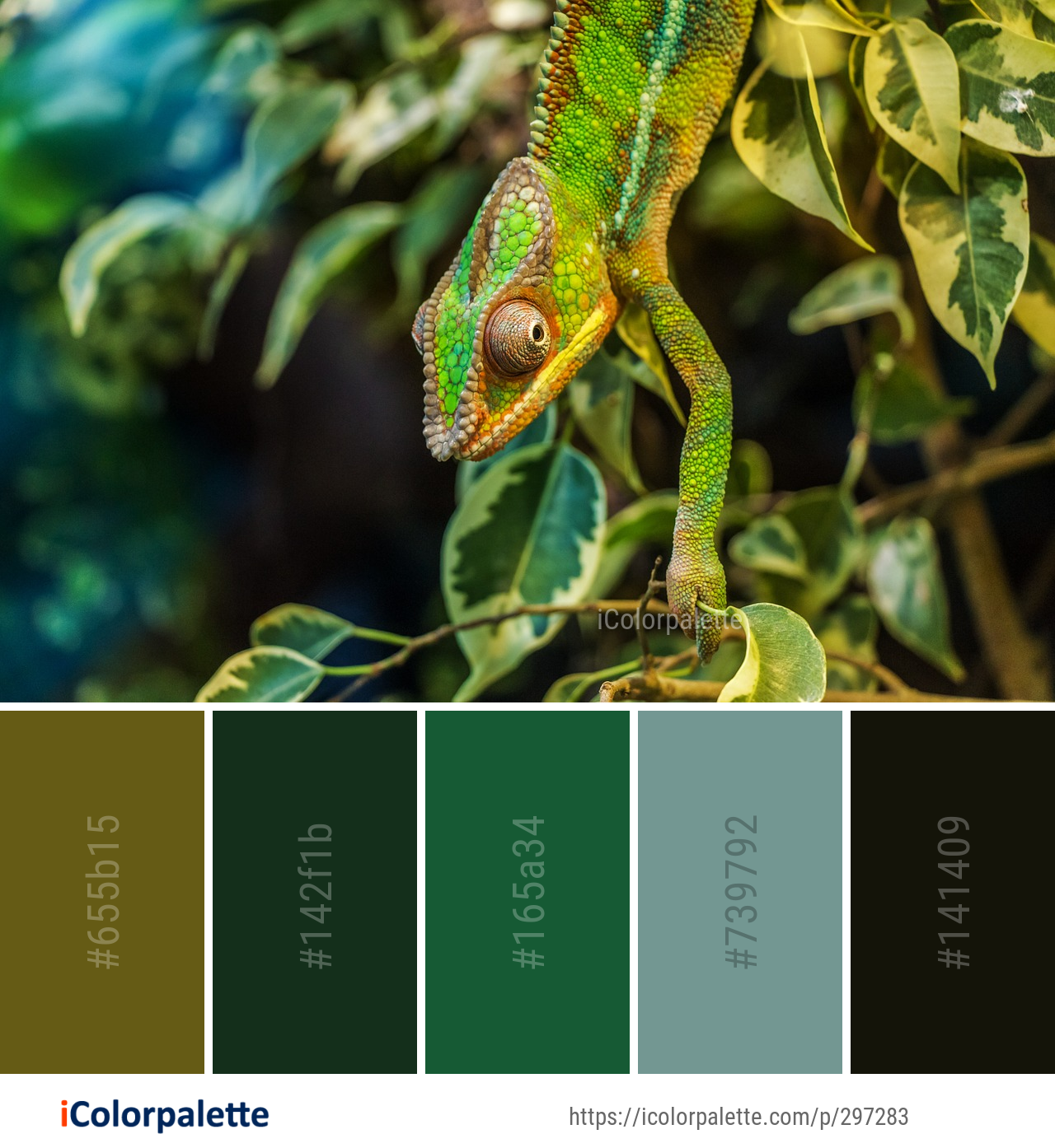 Color Palette Ideas from Reptile Chameleon Scaled Image | iColorpalette