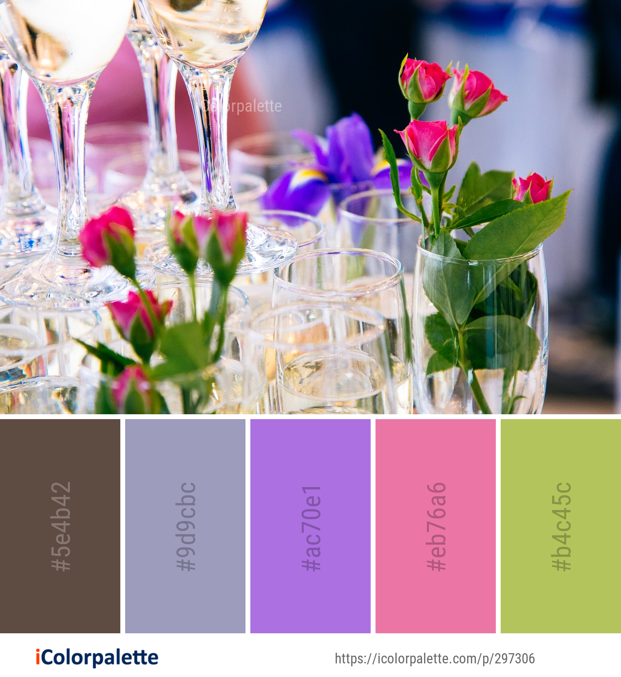 Color Palette Ideas from Champagne Stemware Wine Glass Image ...