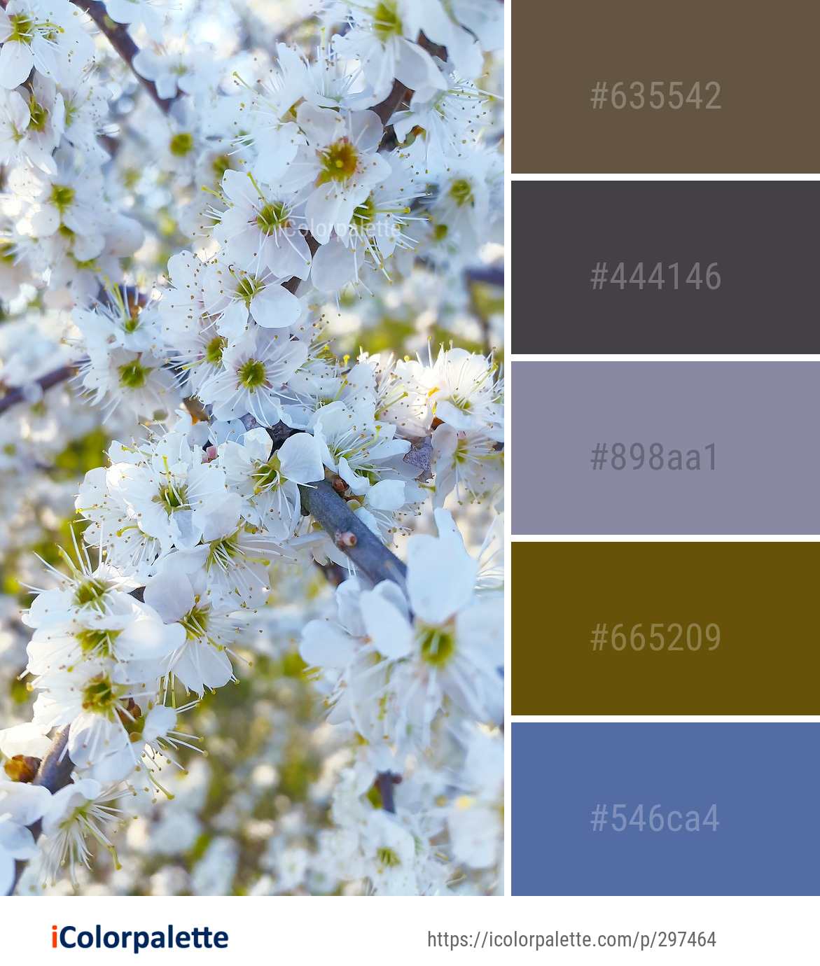 Color Palette Ideas from Flower Blossom Spring Image | iColorpalette