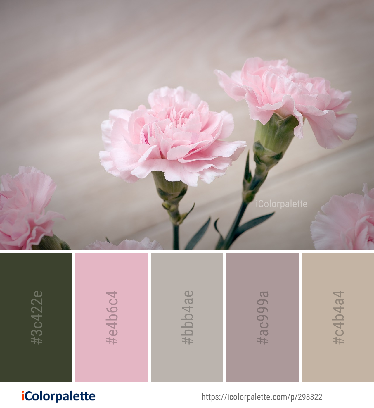 33 Carnation Color Palette ideas in 2025 | iColorpalette