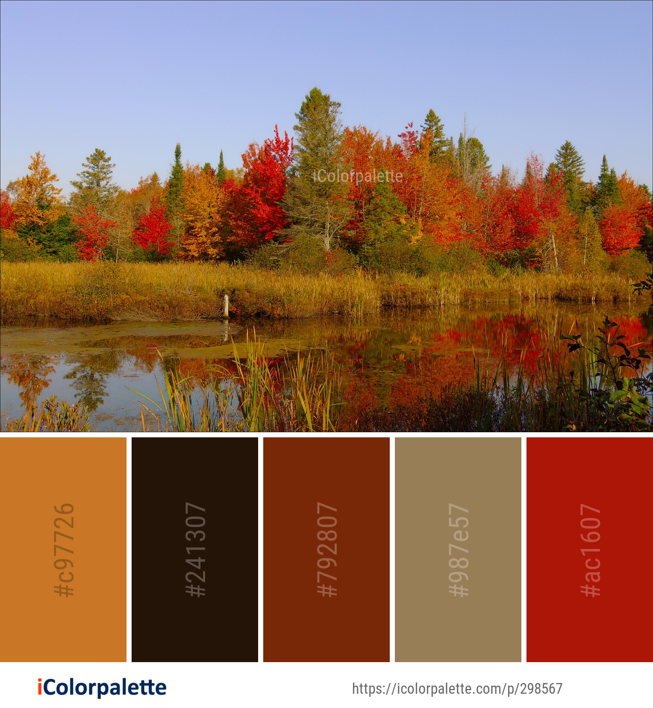 Color Palette Ideas from Reflection Nature Leaf Image | iColorpalette